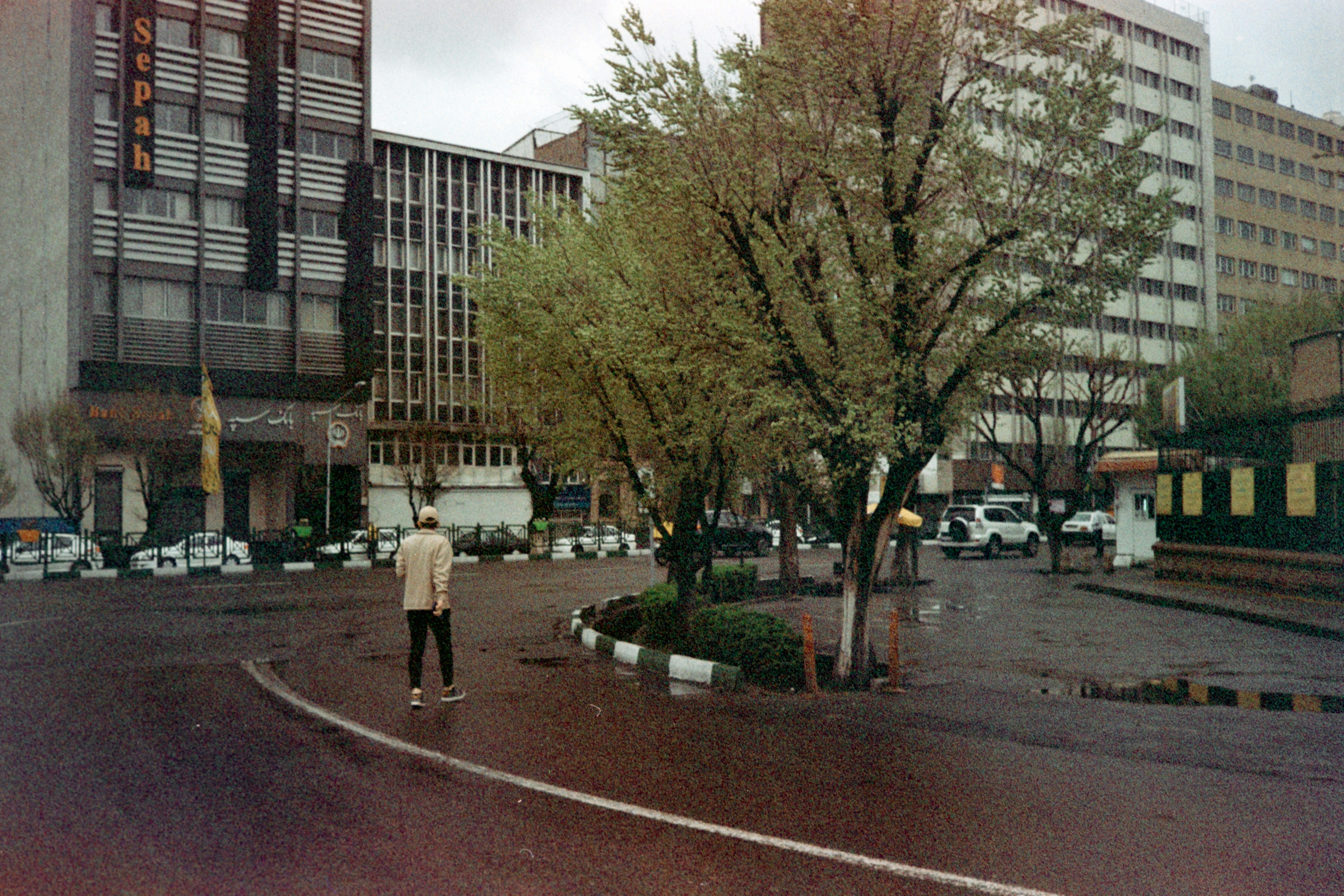Urban Roundabout Portrait: a lone passerby beneath a tree