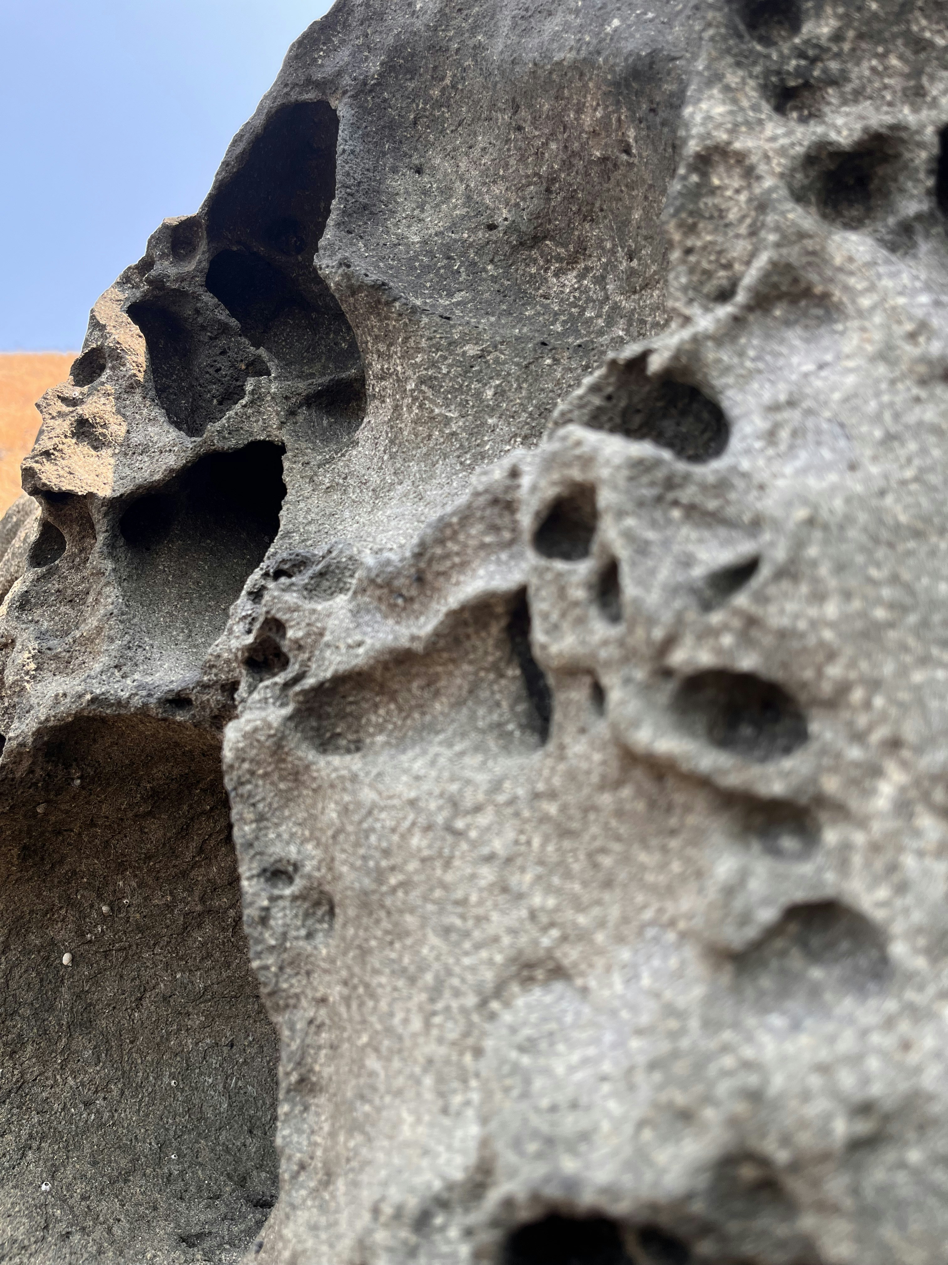 A close up of a rock with holes in it photo – Free India Image on Unsplash