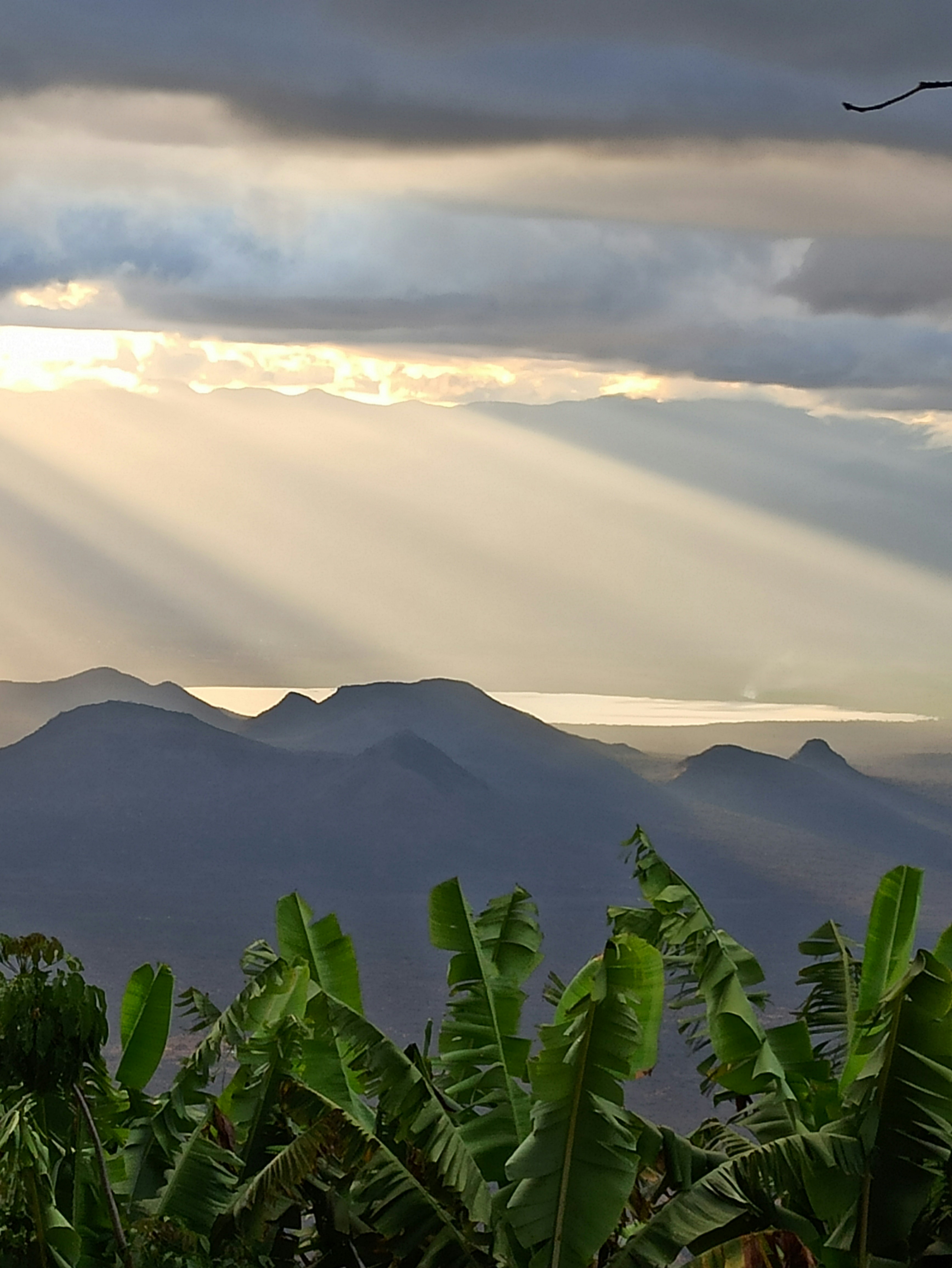 Sunbeams Over Verdant Peaks