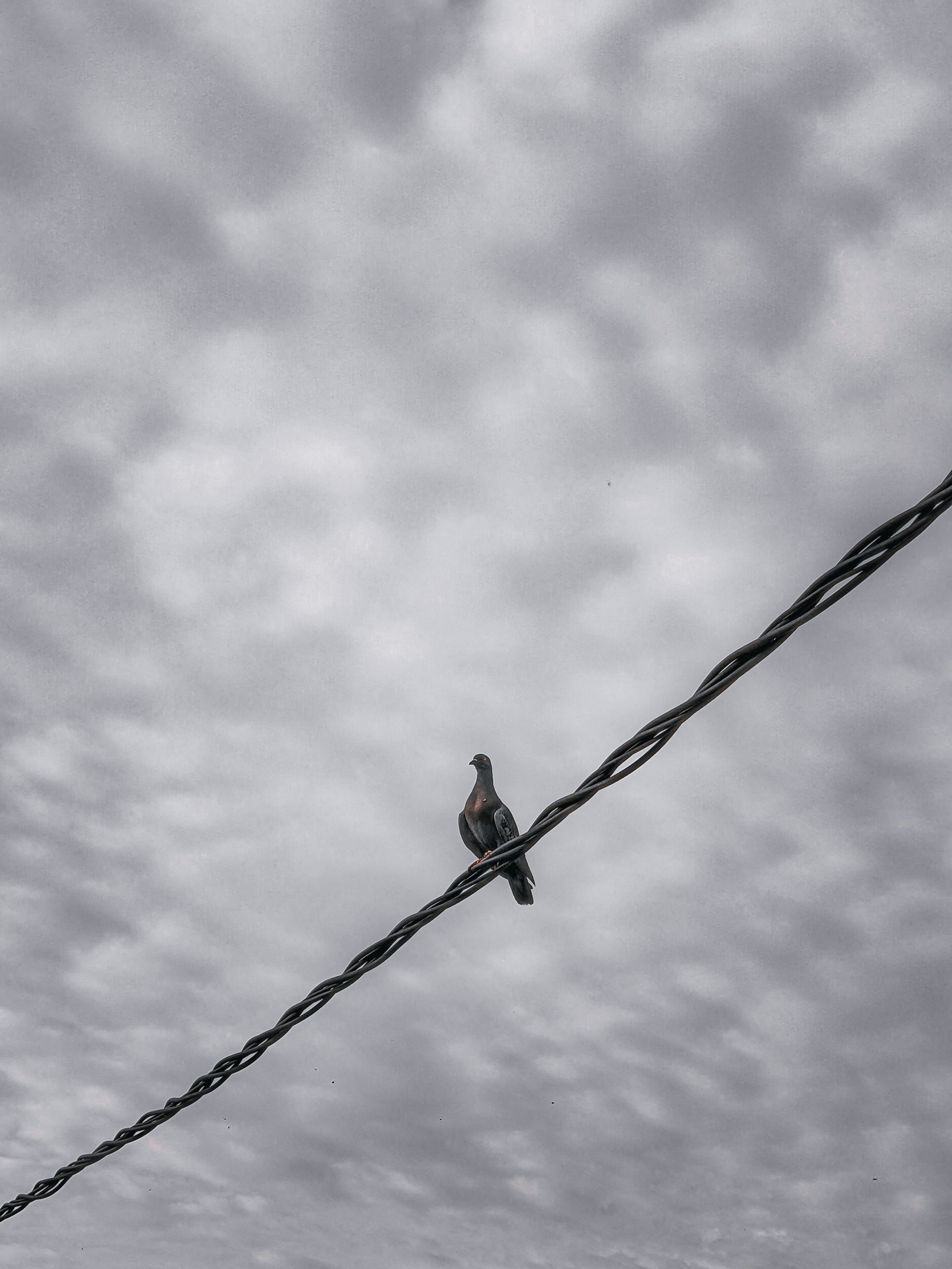 Photo by sadeeq ishan with Google Pixel 4 XL