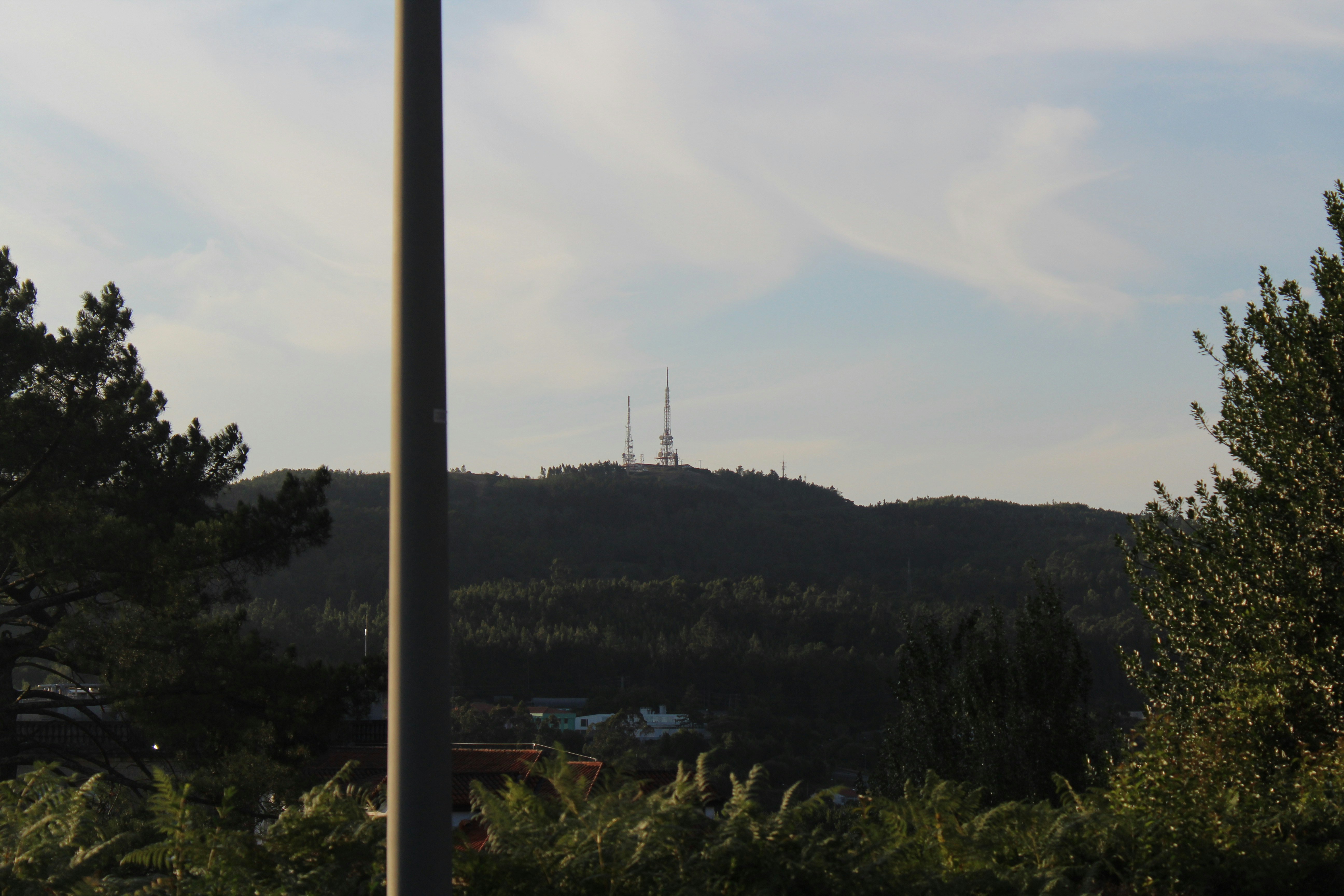 Signal Peaks: A Hilltop Antenna Rising Over the Pines