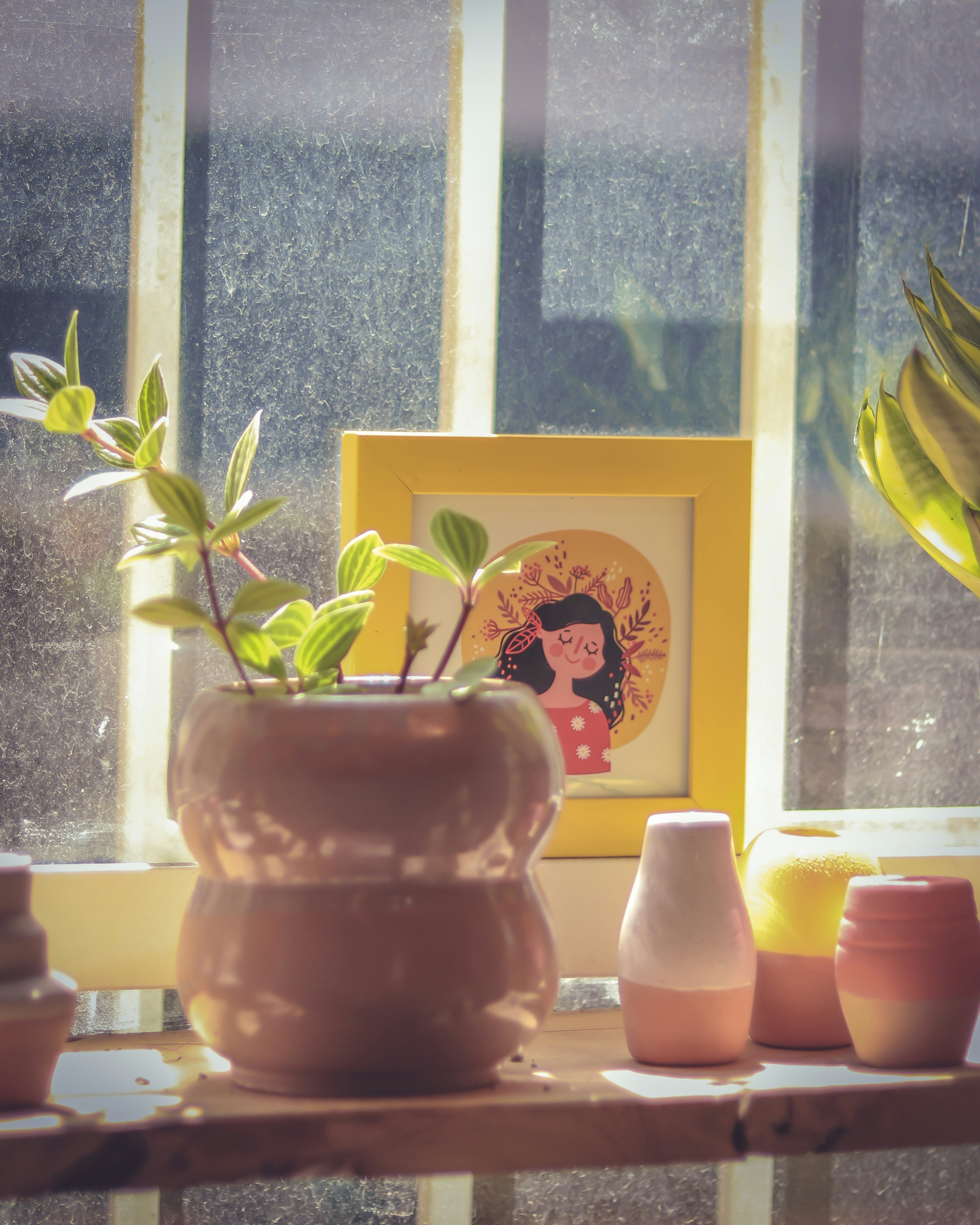 Sunlit Frame: A Yellow Portrait on a Plant-Filled Windowsill