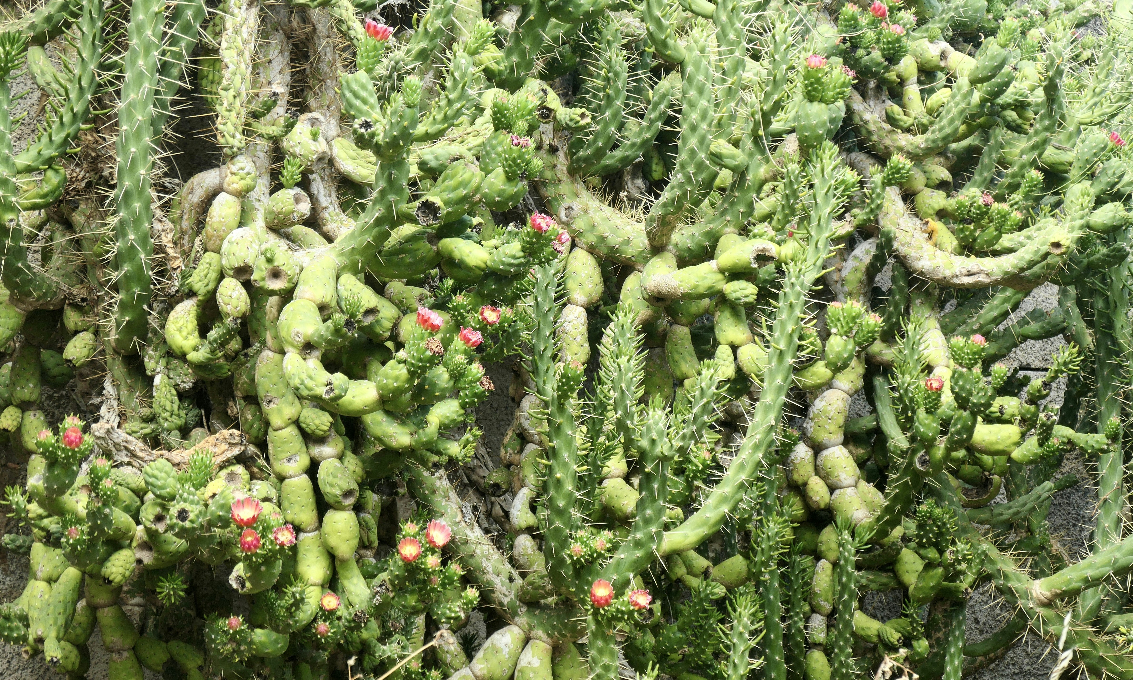 Photo by Bekky Bekks with Panasonic Lumix TZ202