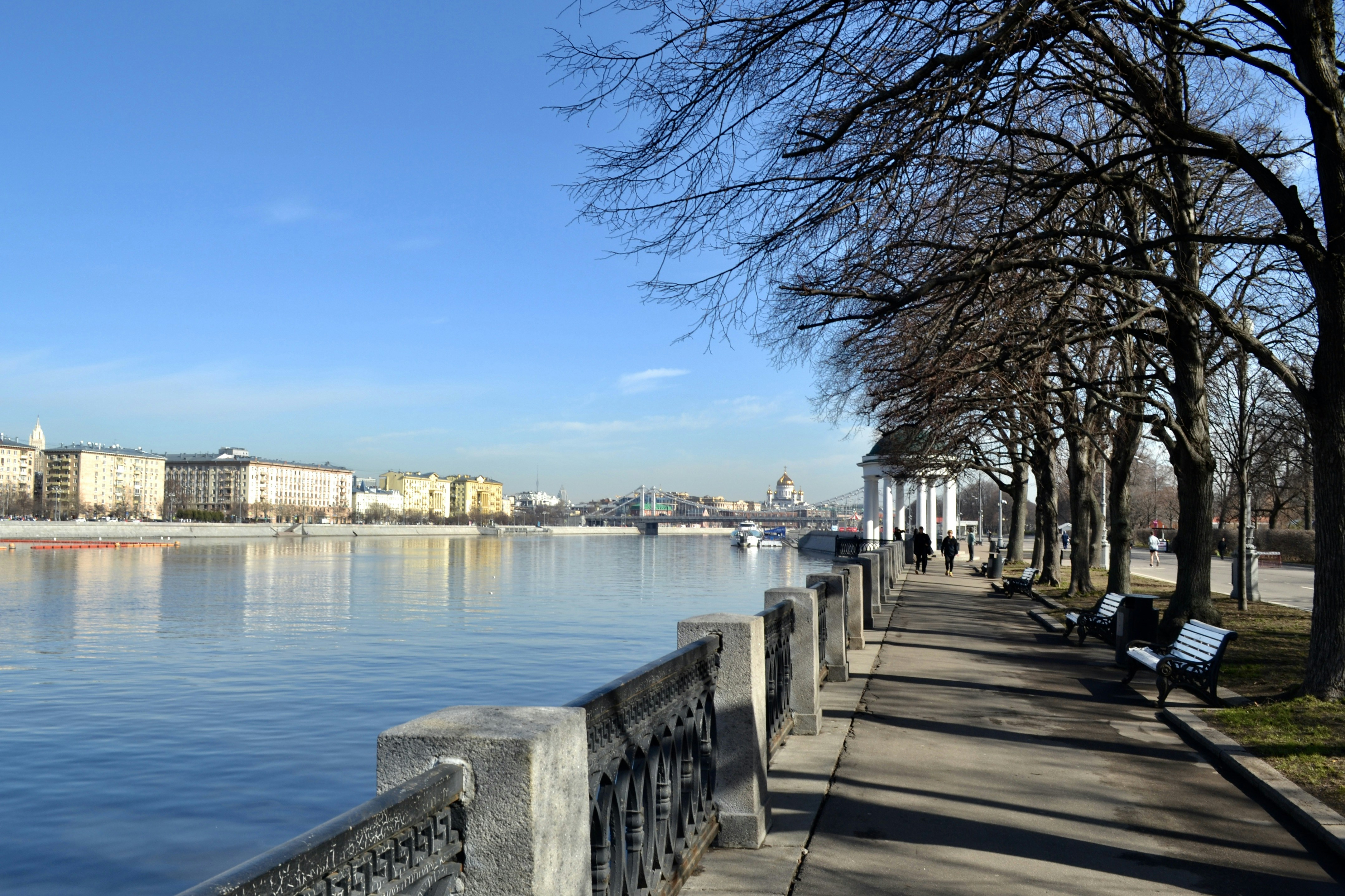 Sunlit Riverside Promenade: Trees, Benches, and a Distant Skyline