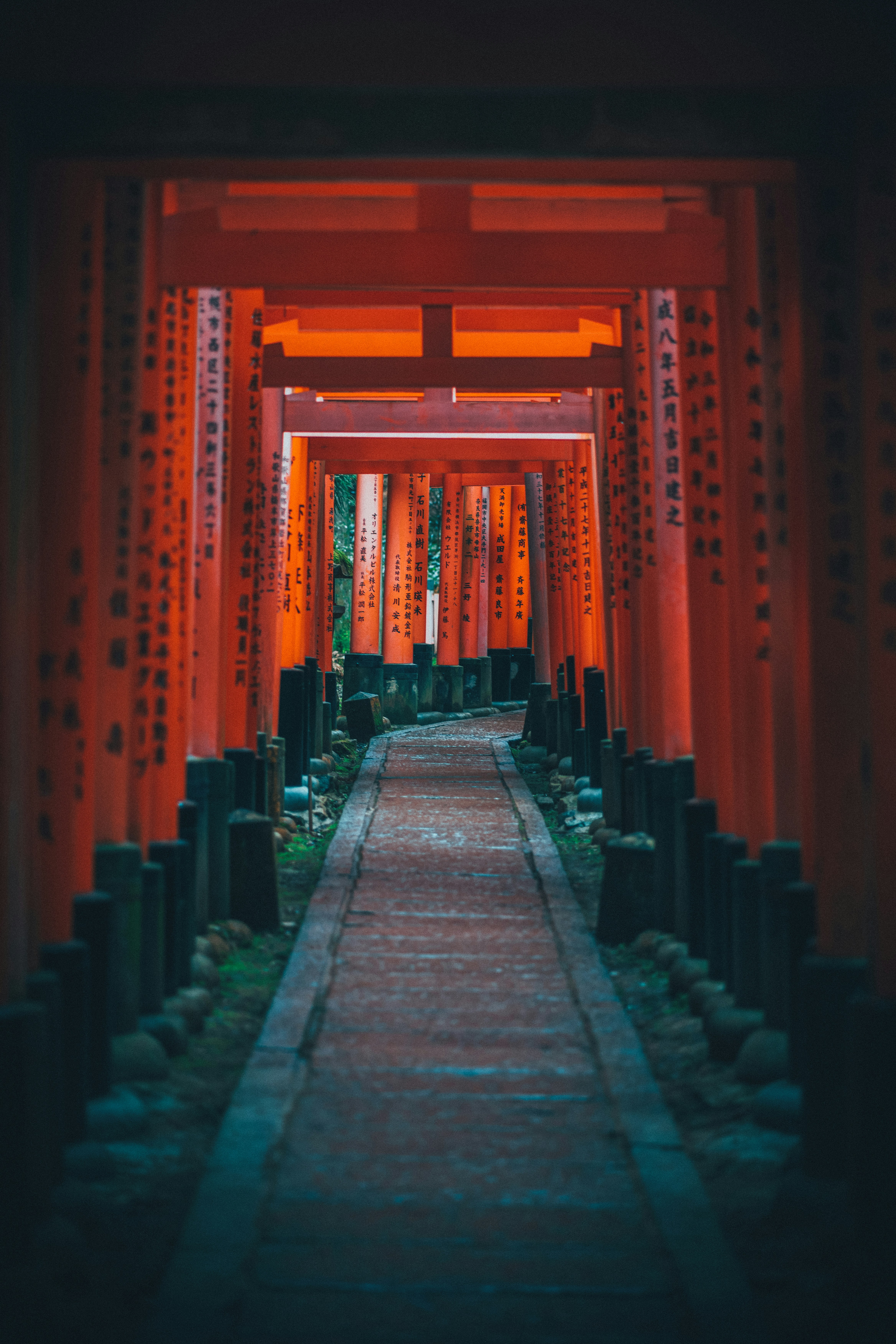 A walkway lined with red tori tori tori tori tori tori tori tori tori ...