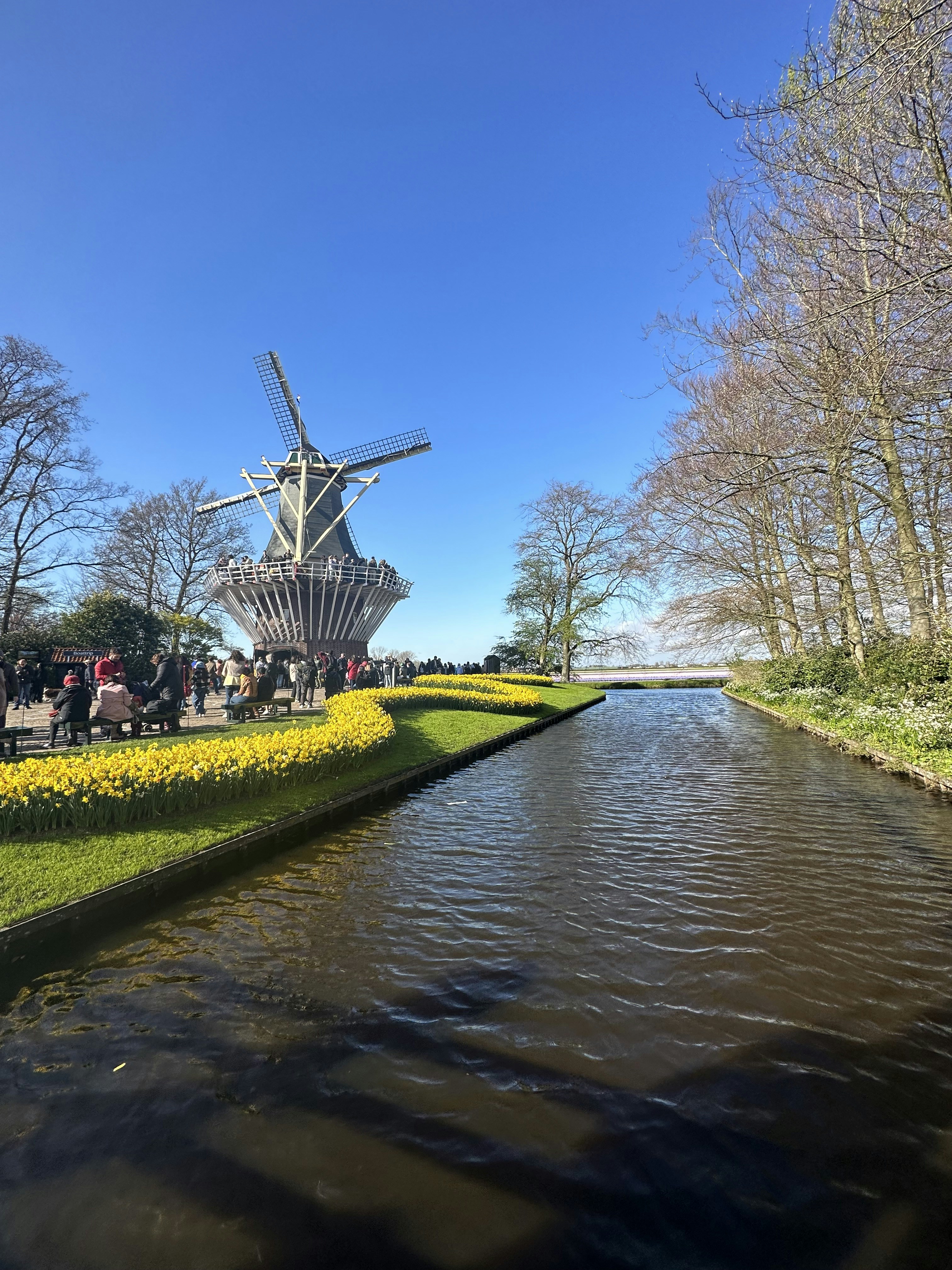 Canalfront Windmill Under a Bright Dutch Sky, Tulips in Bloom and a Lively Riverside Walk