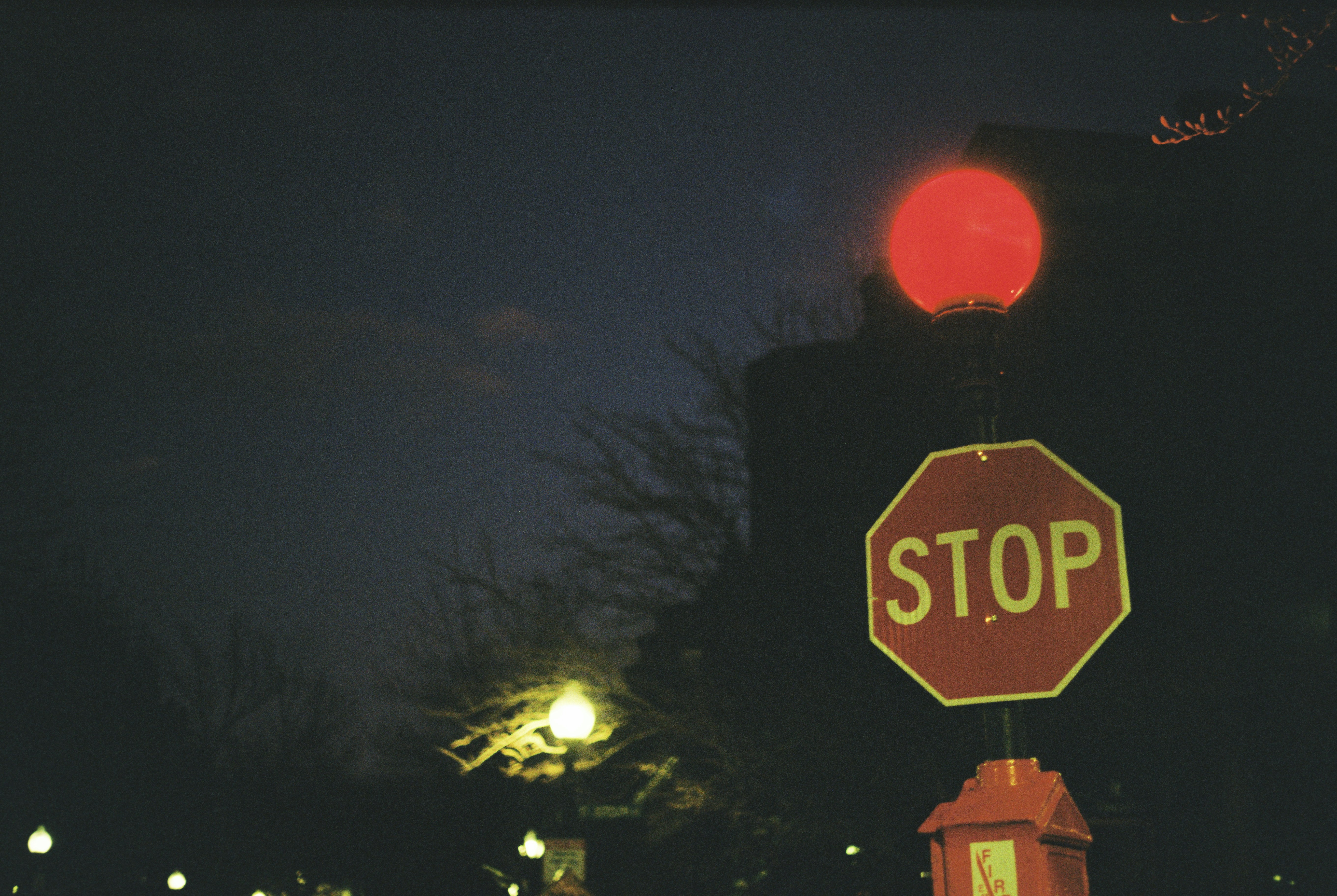 Night street scene with a prominent red stop sign lit by a warm streetlamp, set against a dark, tree-lined backdrop.