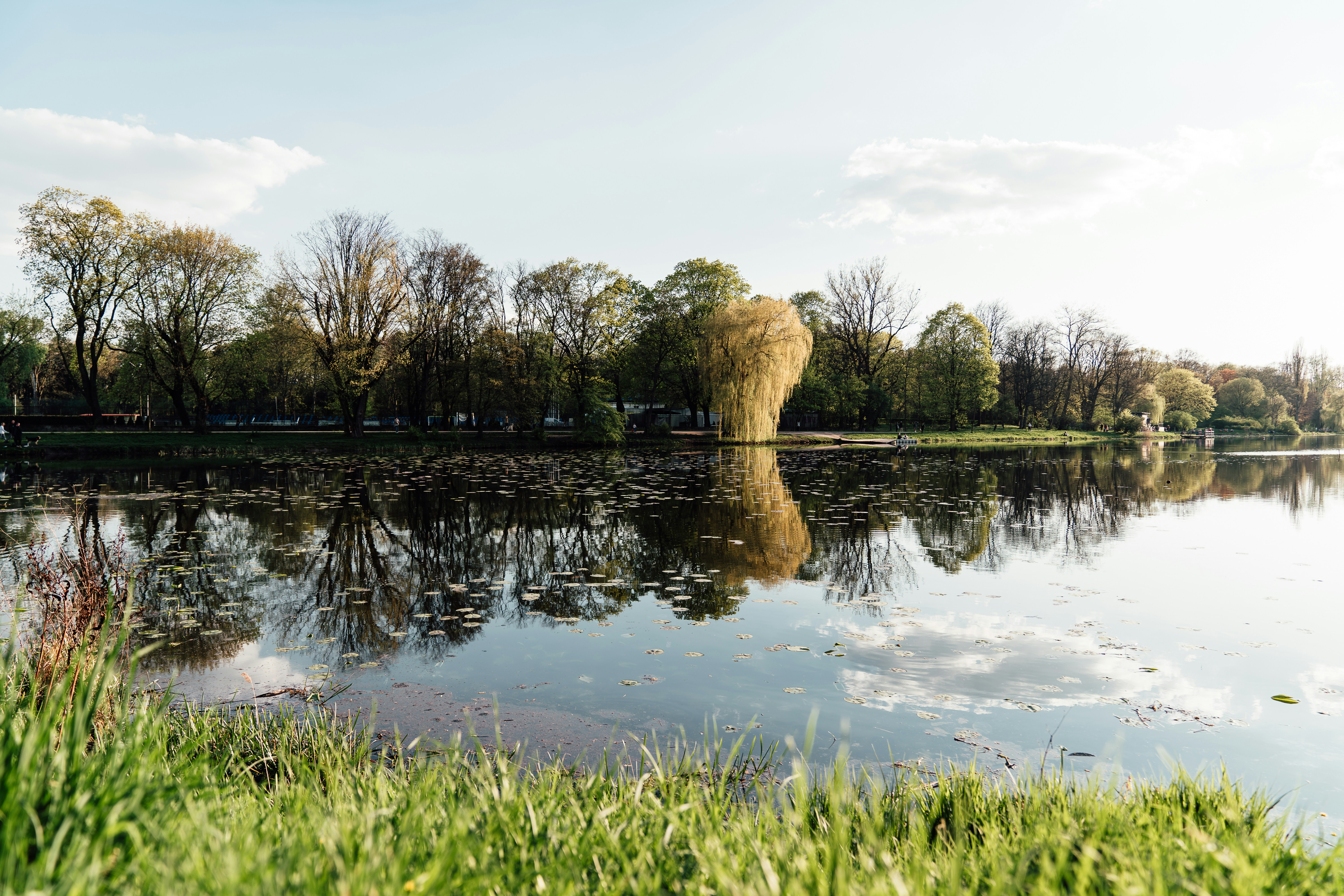 A body of water surrounded by grass and trees photo – Free Warsaw Image ...