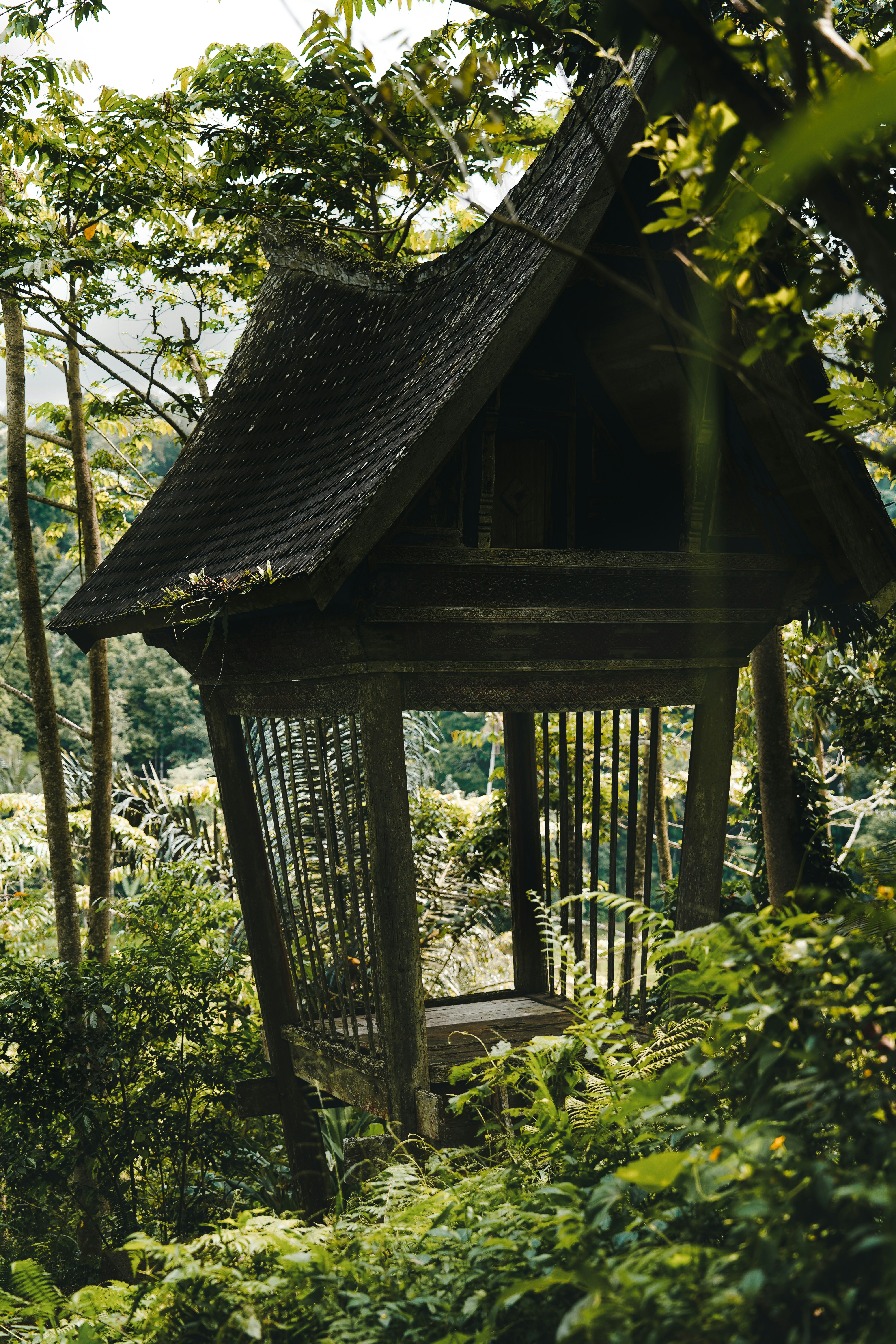 A small hut in the middle of a forest photo – Free Bali Image on Unsplash