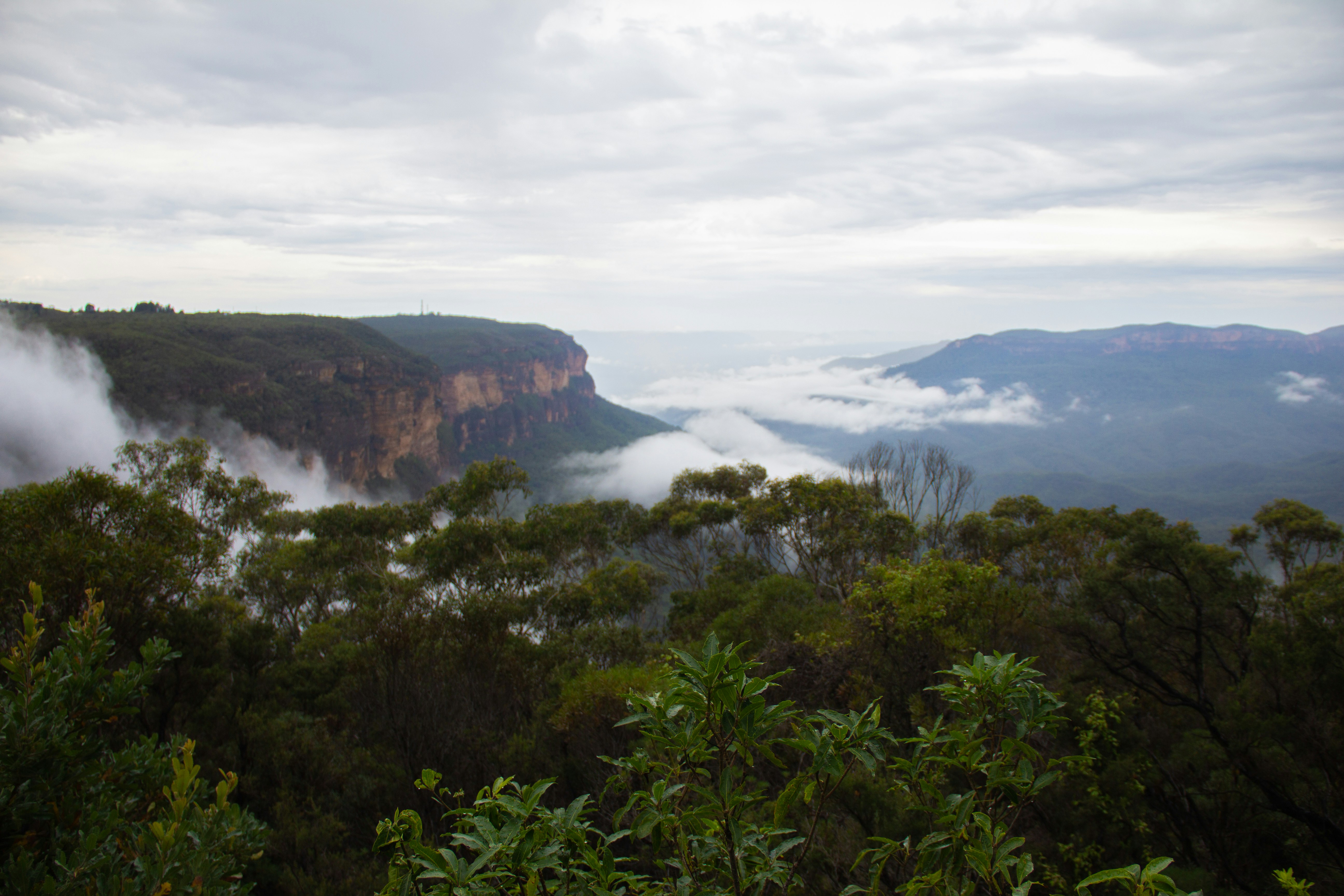 Mist over the Plateau: A Quiet Valley View