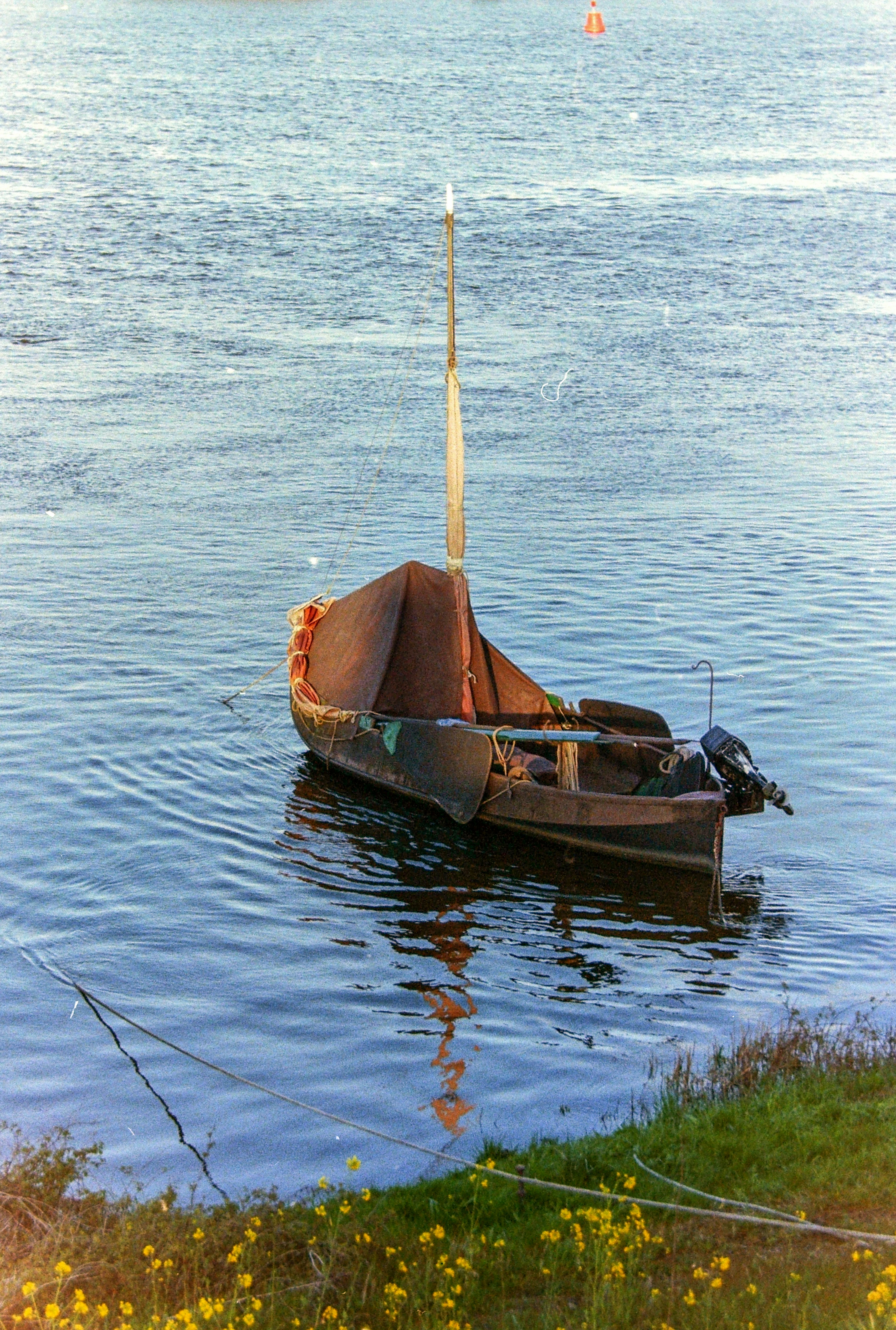 Rollei DiaFilm Scanner DF-S 300 HD Sample Shots