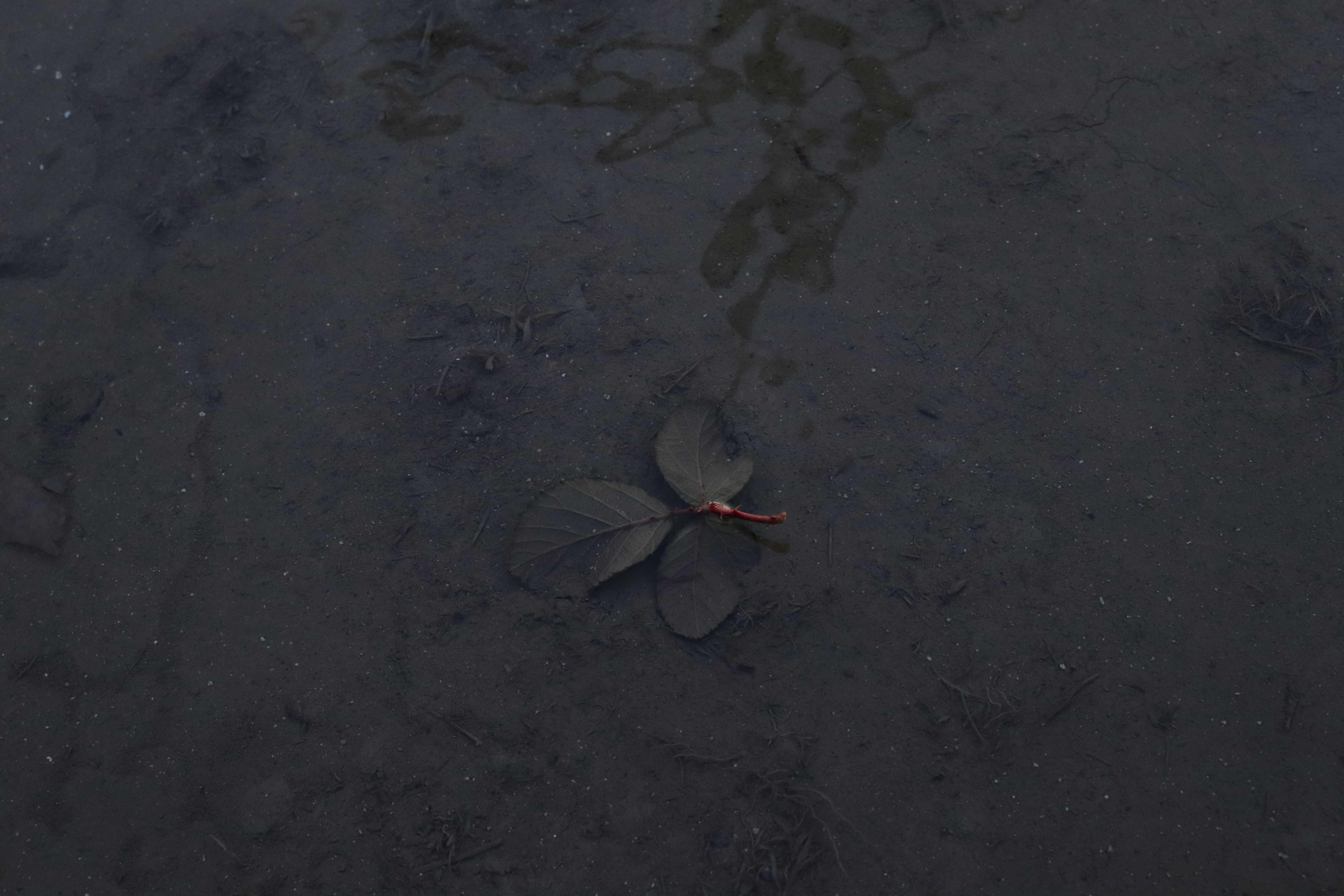 Photo by Erica Helgesson with Canon EOS M50 Mark II