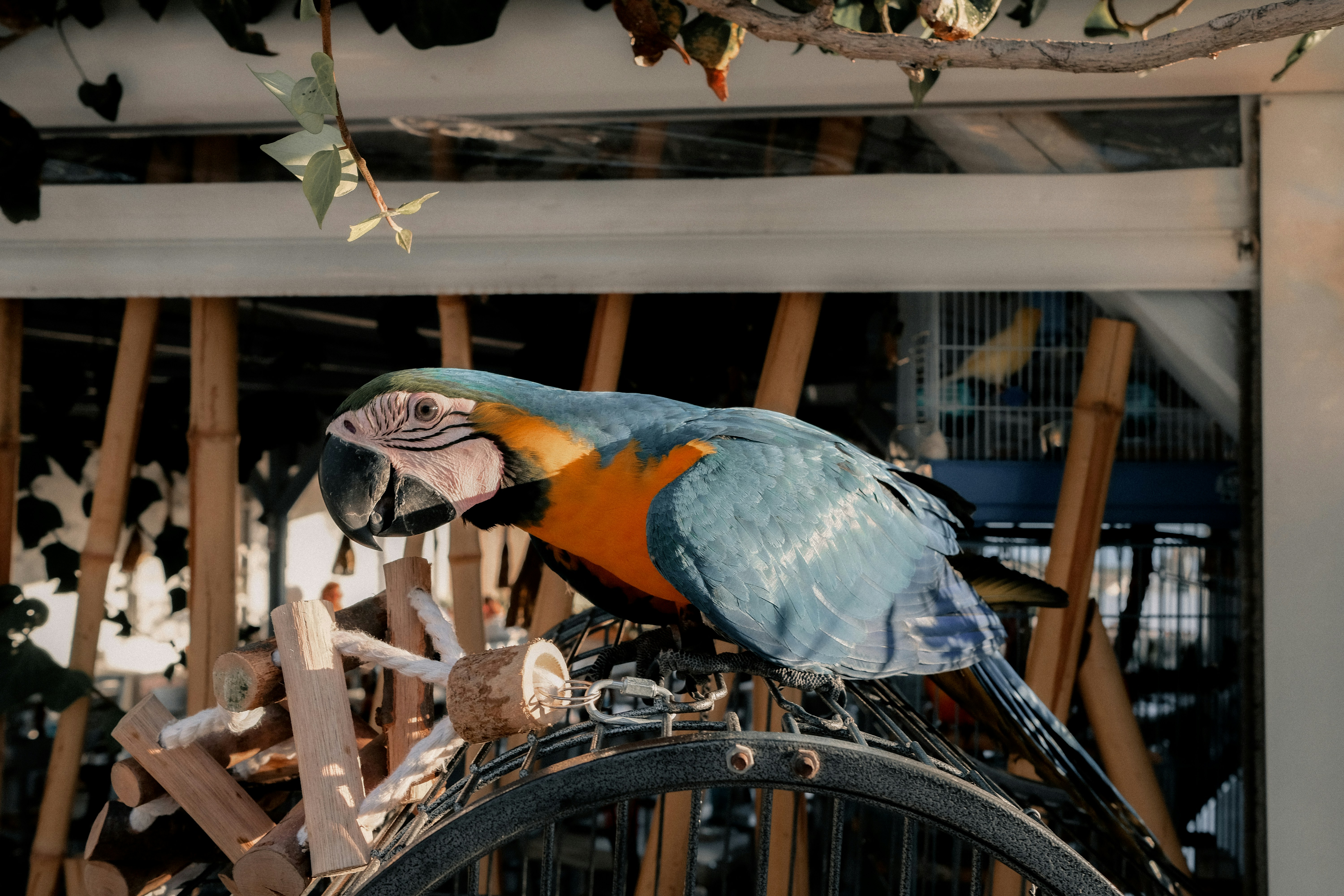 Photo by Luke Moss with Fujifilm X-Pro2