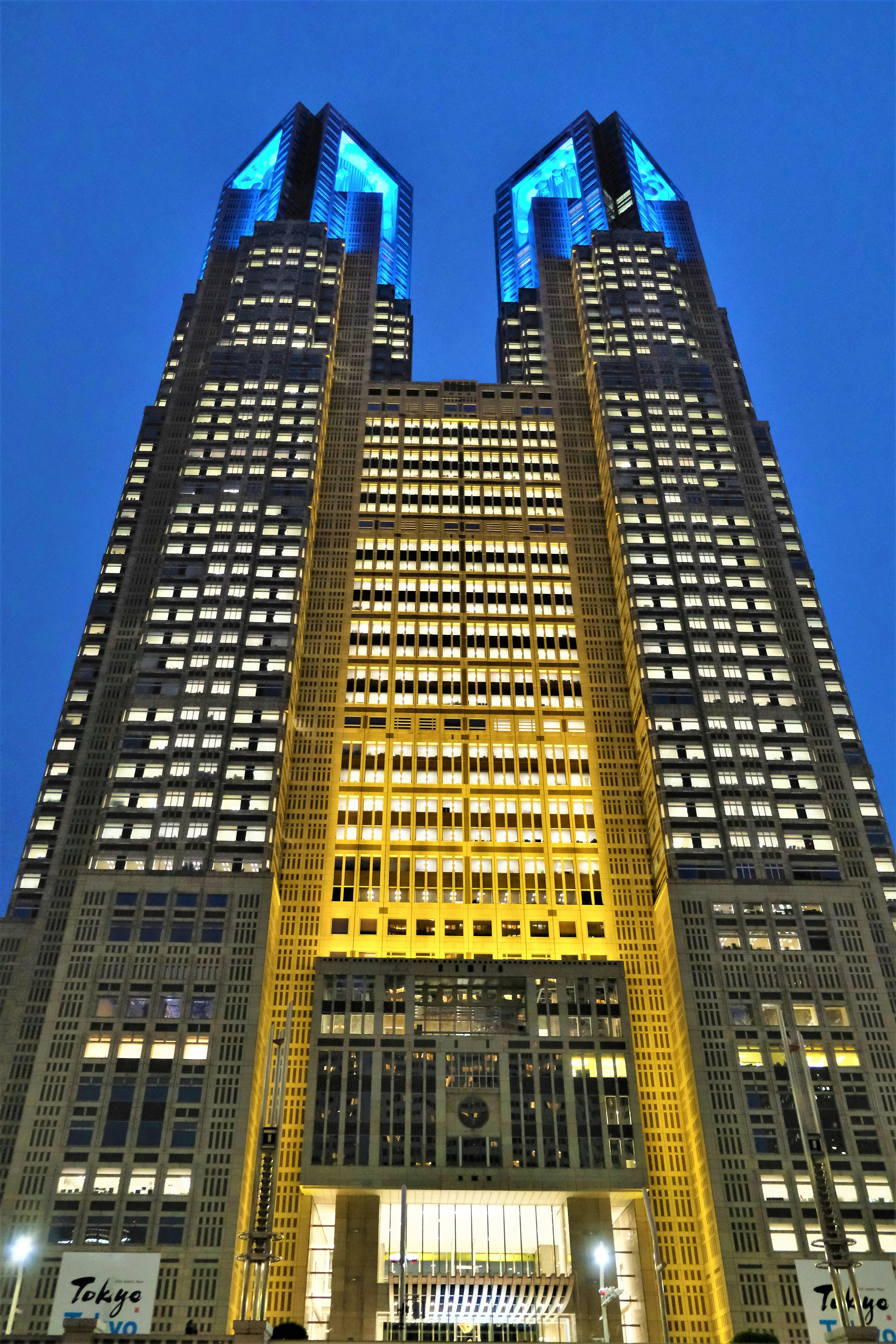 Blue Crowned Twins and the Golden Atrium