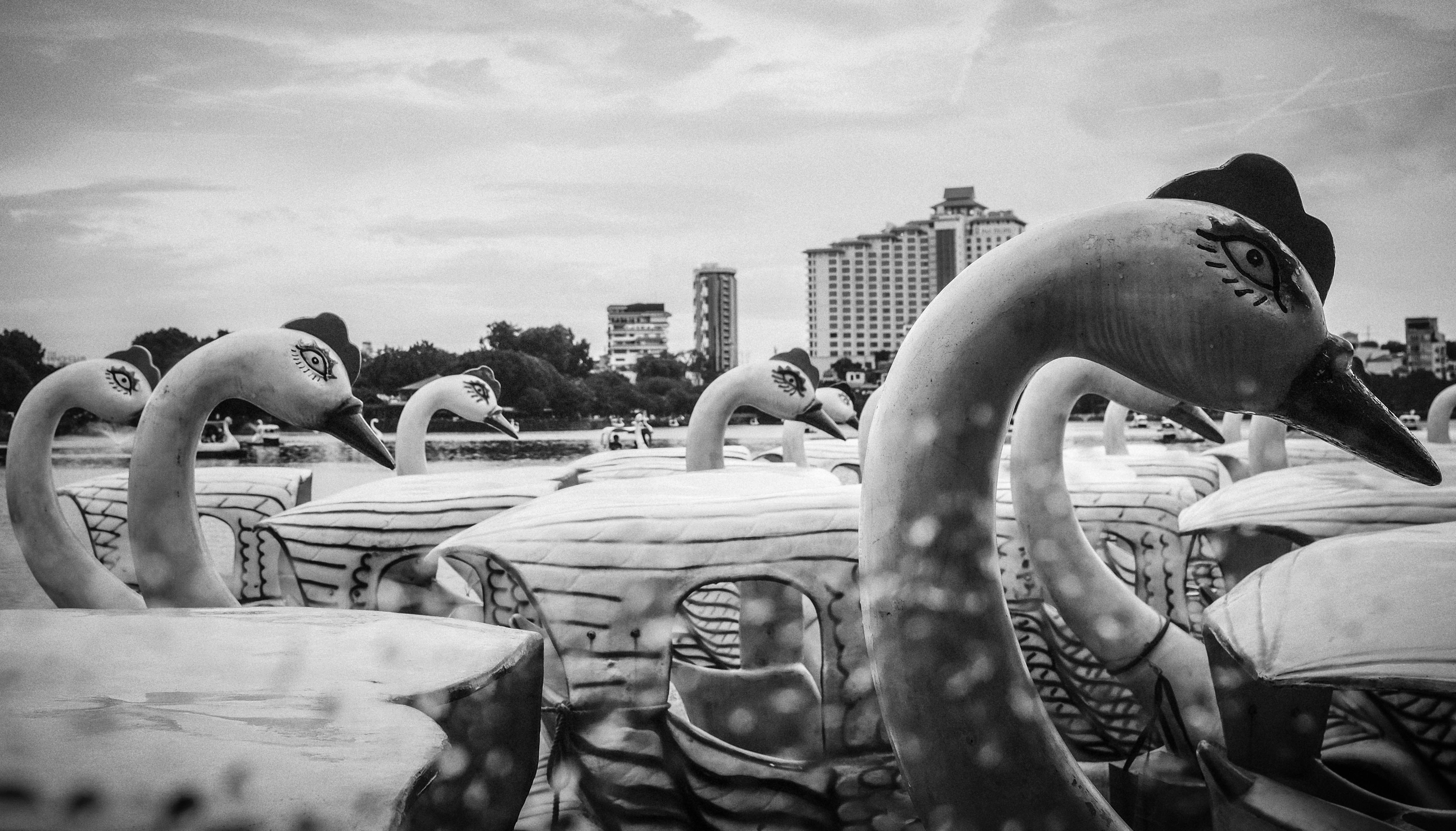 Mono Swan Row: Sculpted Birds Align Along the Riverside Backdrop