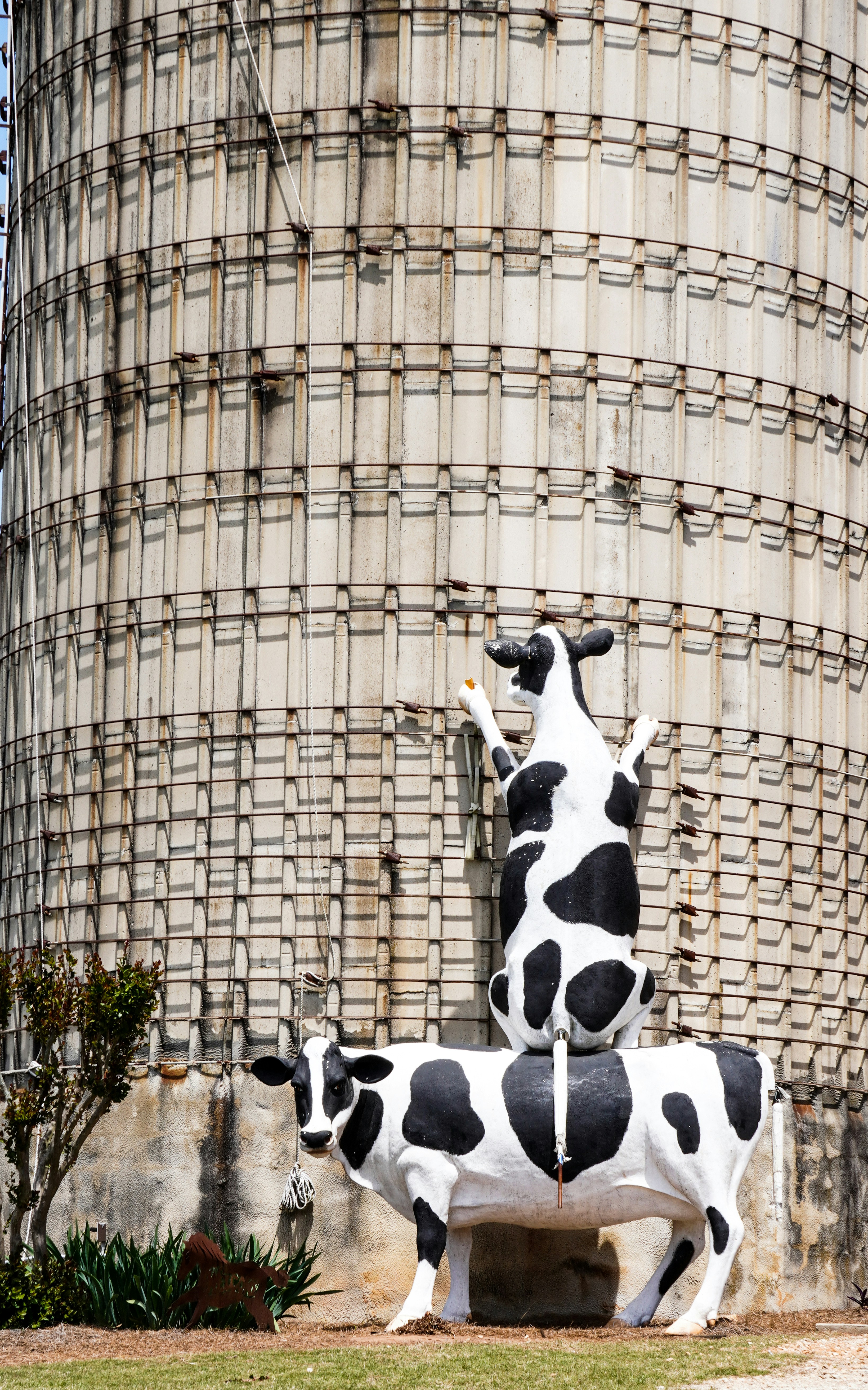A statue of a cow and a cow in front of a building photo – Free ...