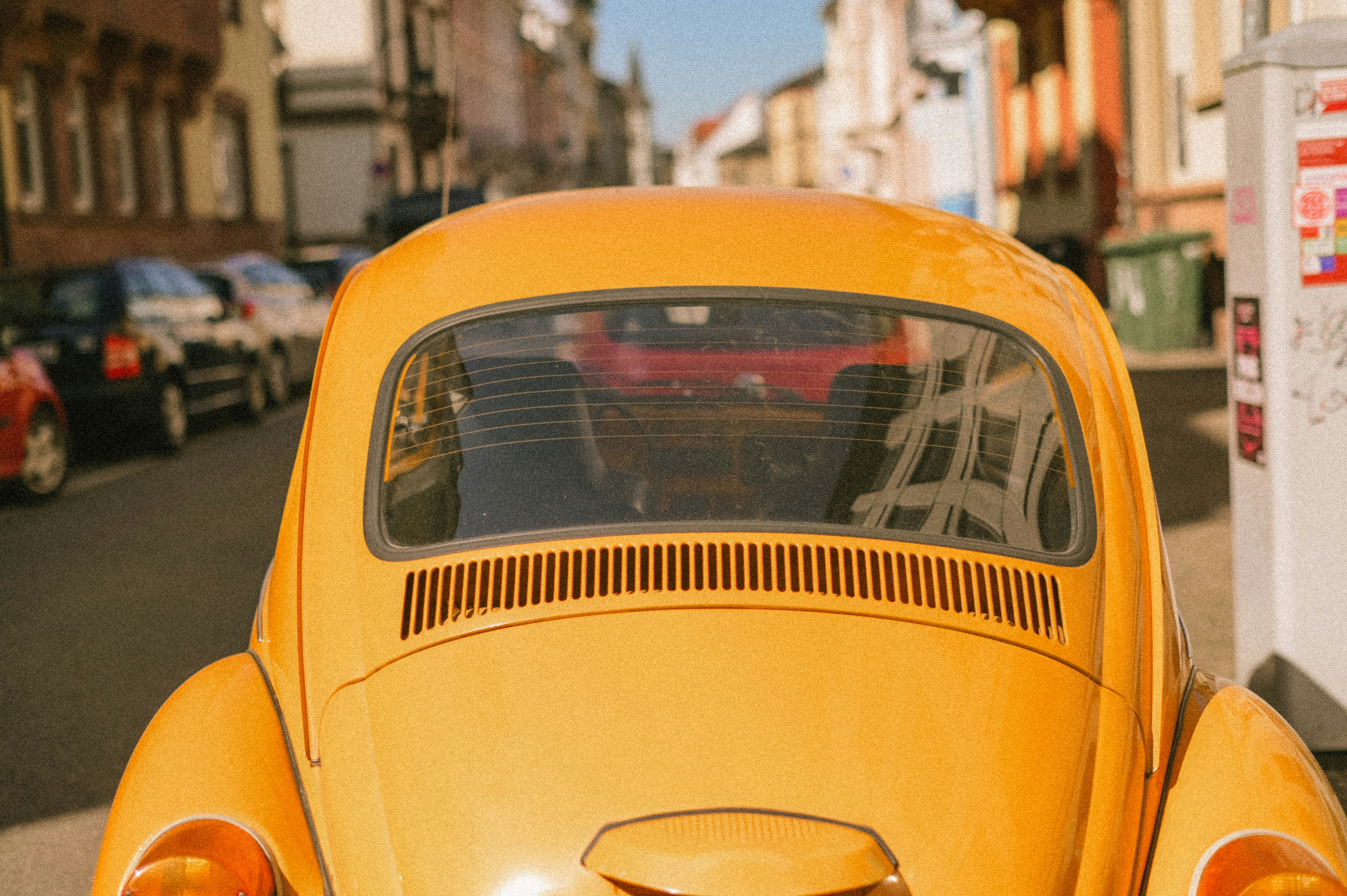 Amber Beetle on a Sunlit Urban Street