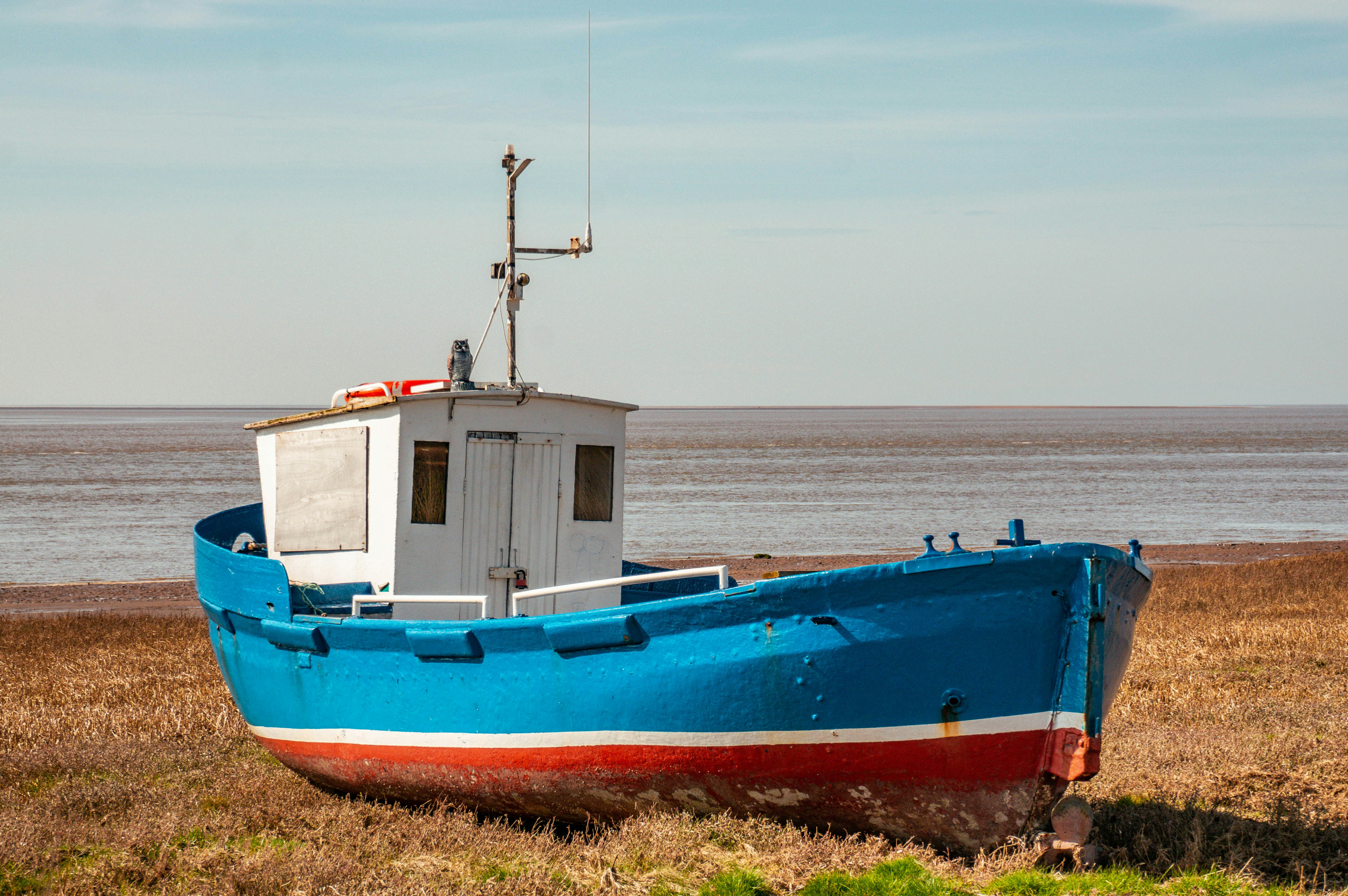 Blue Hull at the Edge: A Vessel Resting on Salt Marsh Under a Wide Sky