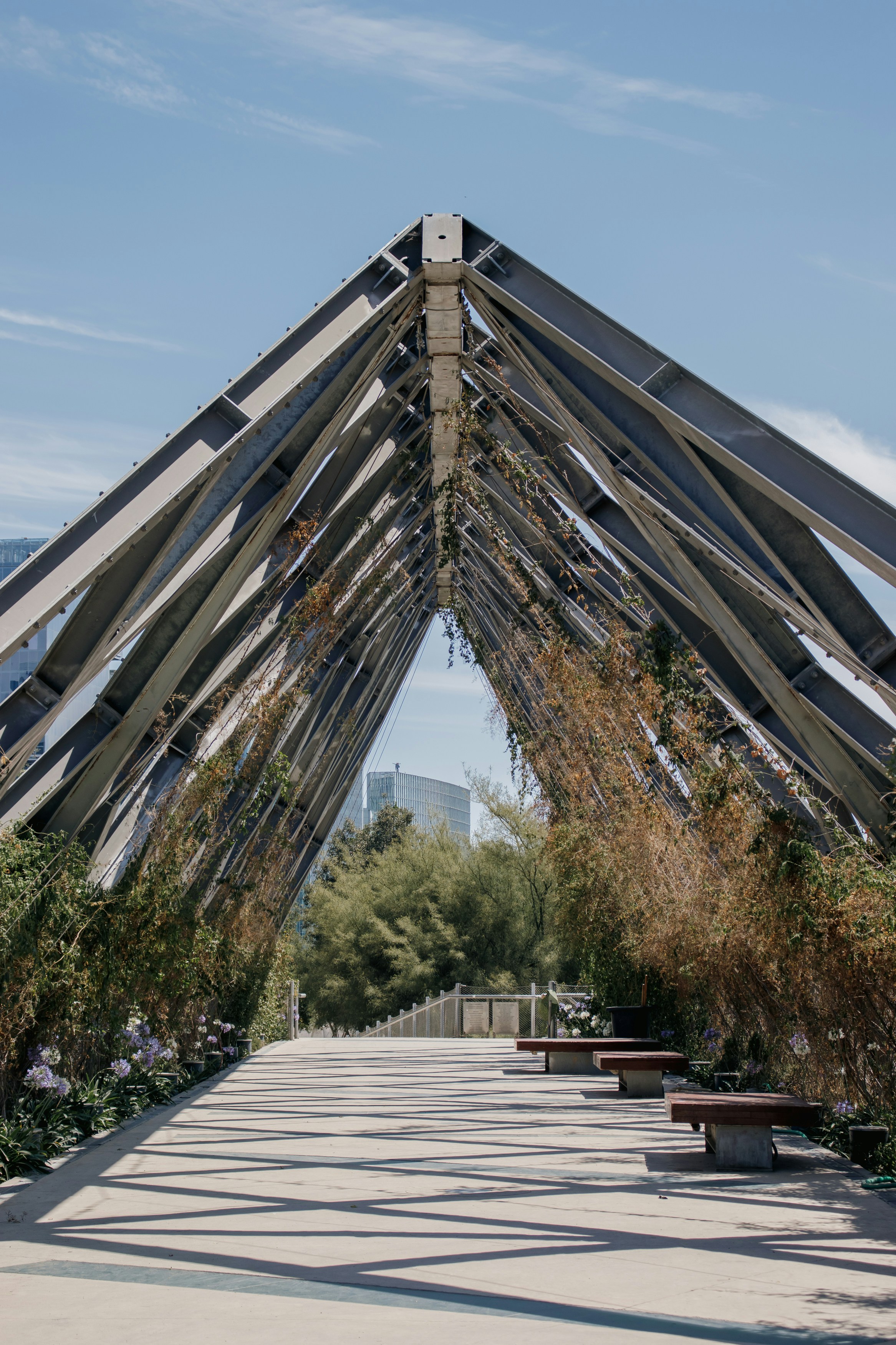 Architectural Arches: Steel Beams Reaching the Sky