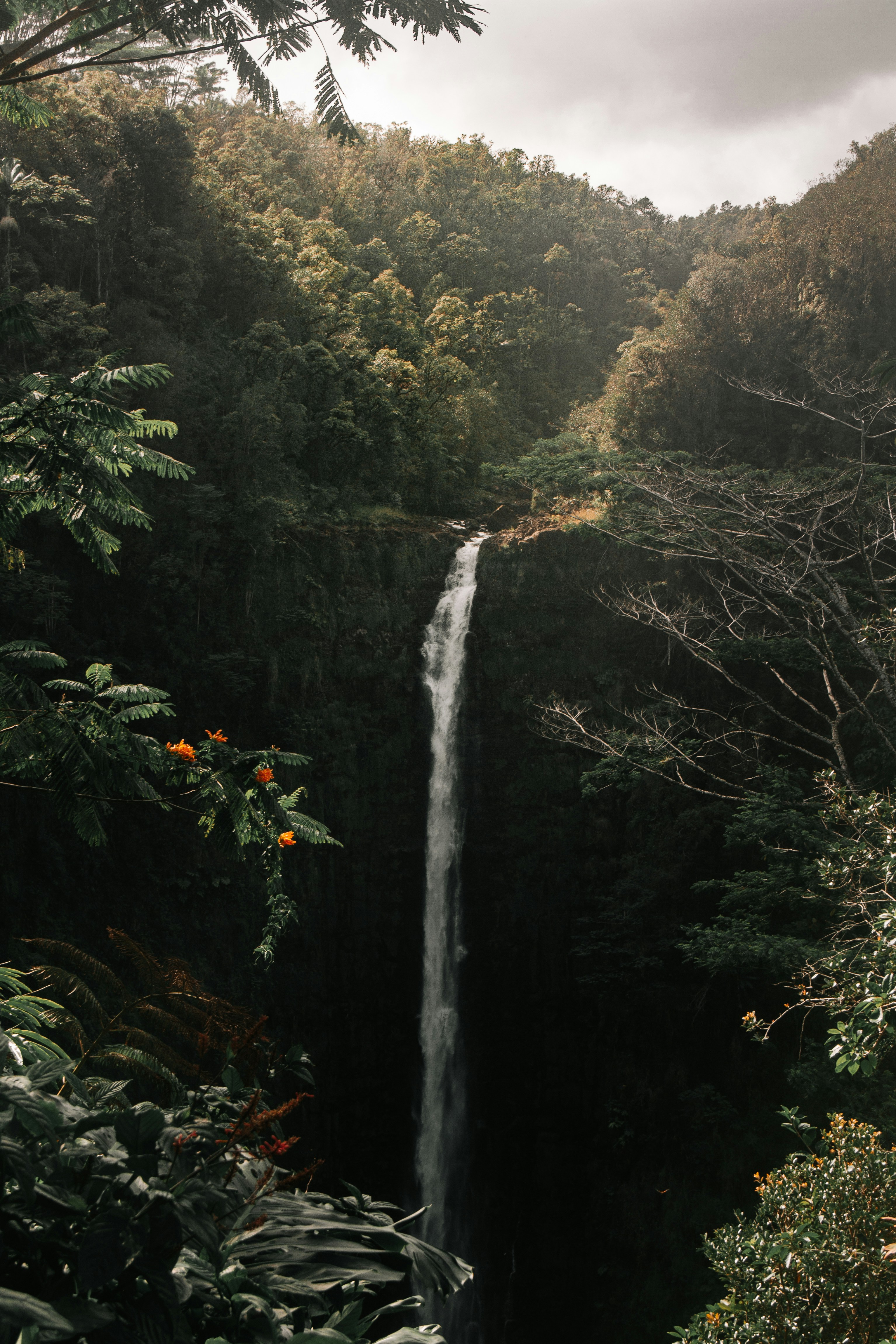 Majestic waterfall cascading down a rocky cliff, surrounded by lush greenery and vibrant flowers. The scene captures the serene beauty of a secluded forest.