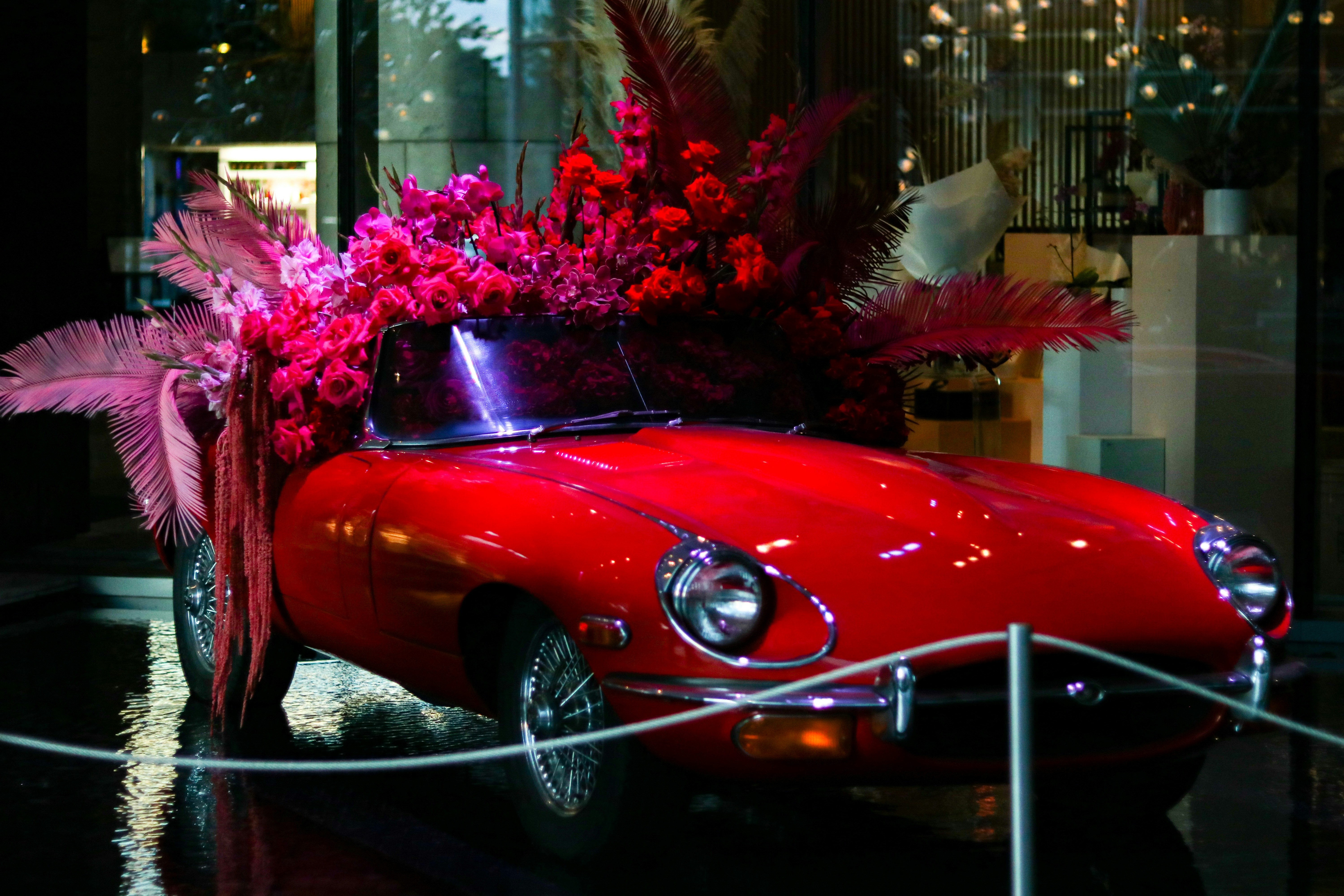 Scarlet Classic in a Neon Floral Halo