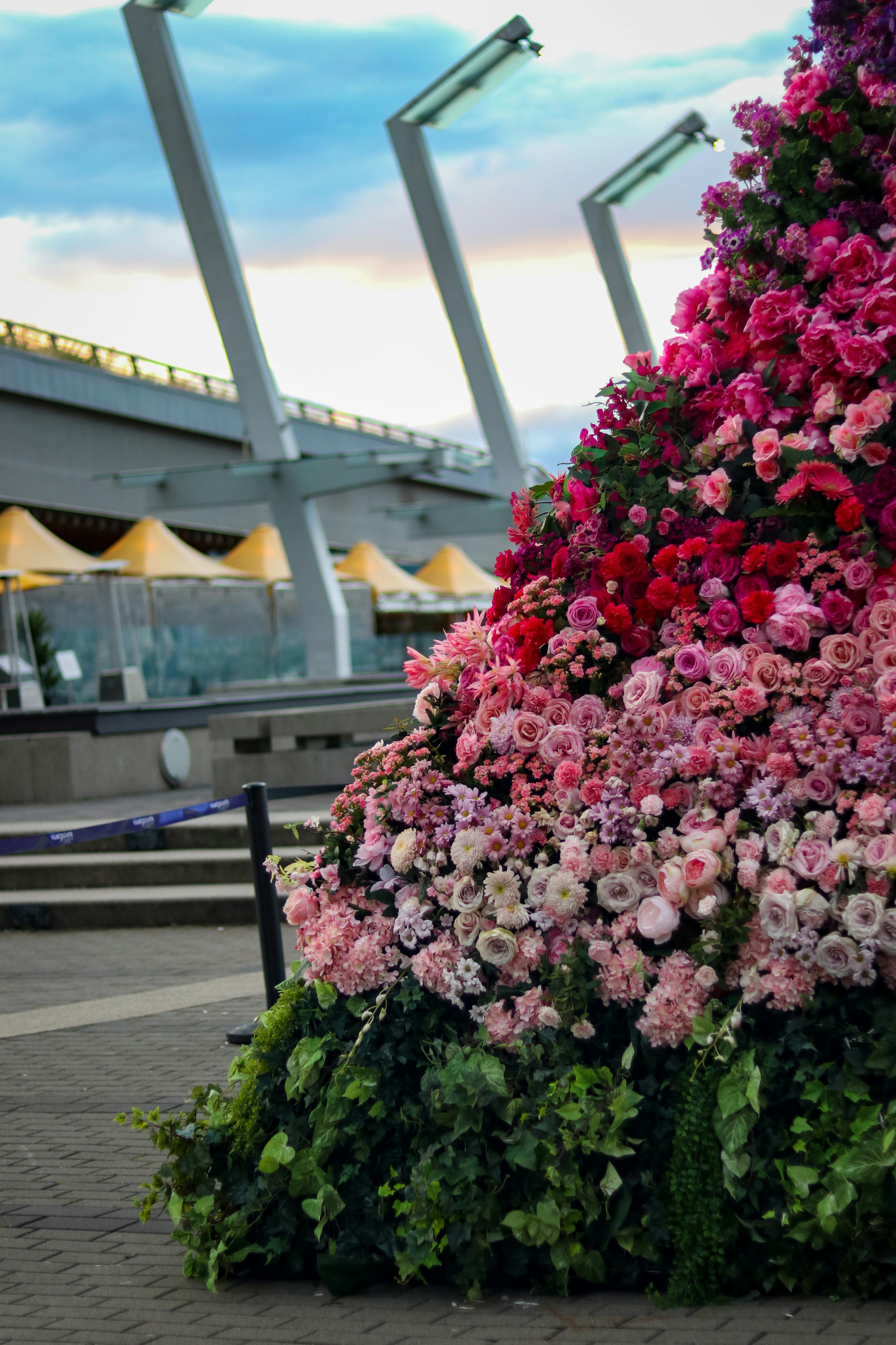 Petal Cascade by the Modern Plaza Edge