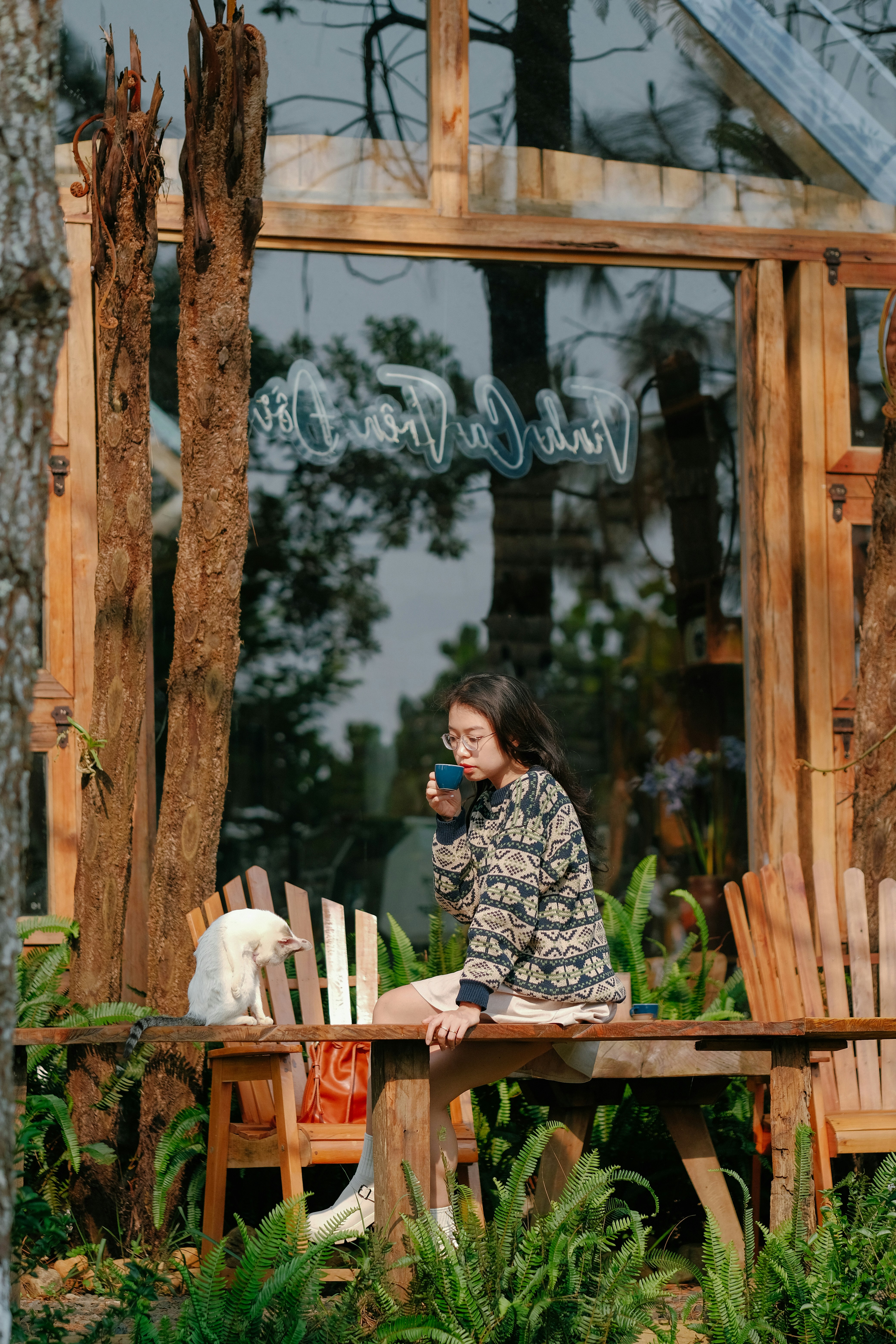 Rustic Glass Café Moment: A Cozy Portrait with a Cat