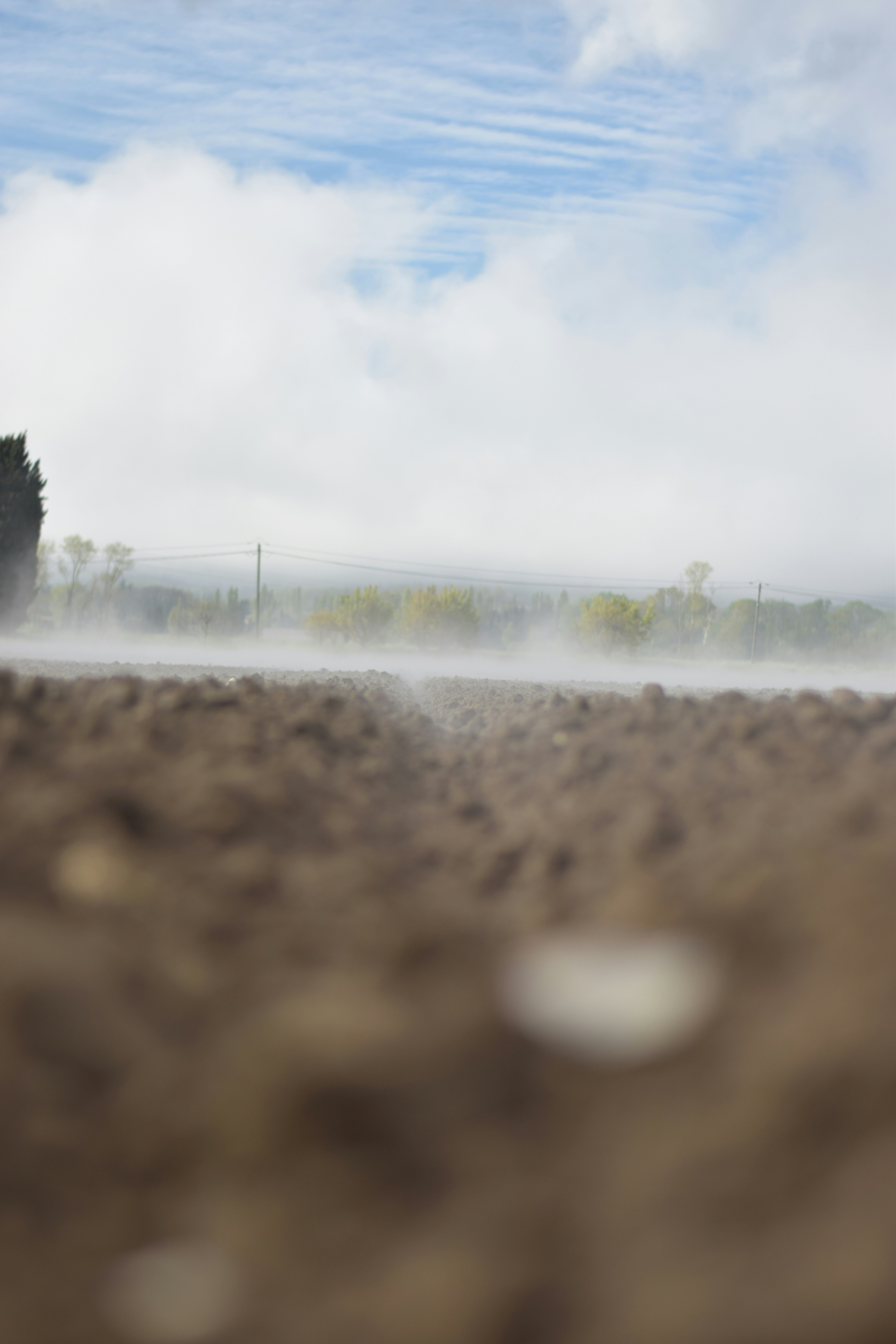 Misty Horizon over a Muddy Field