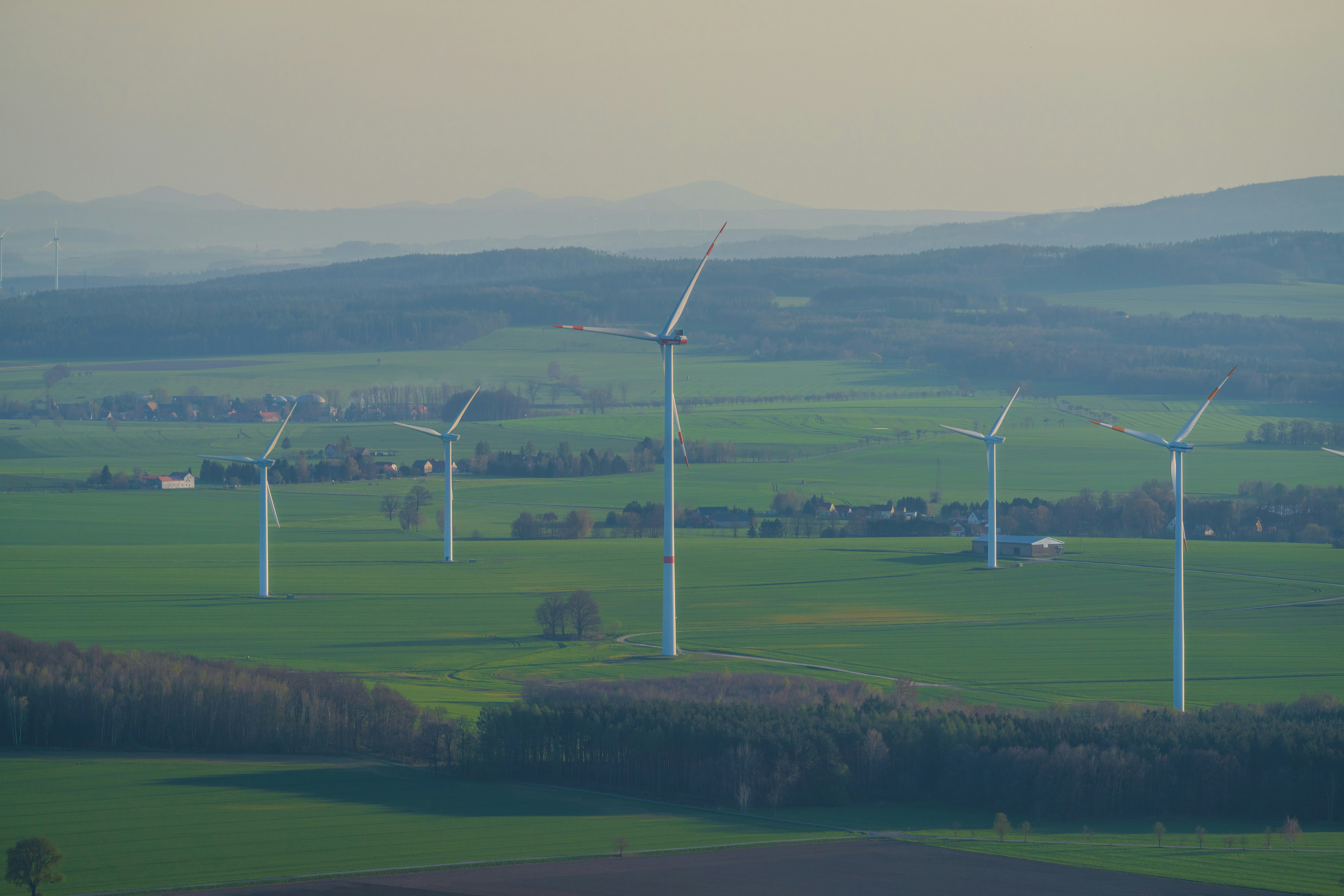 Whispering Giants of the Green Plain
