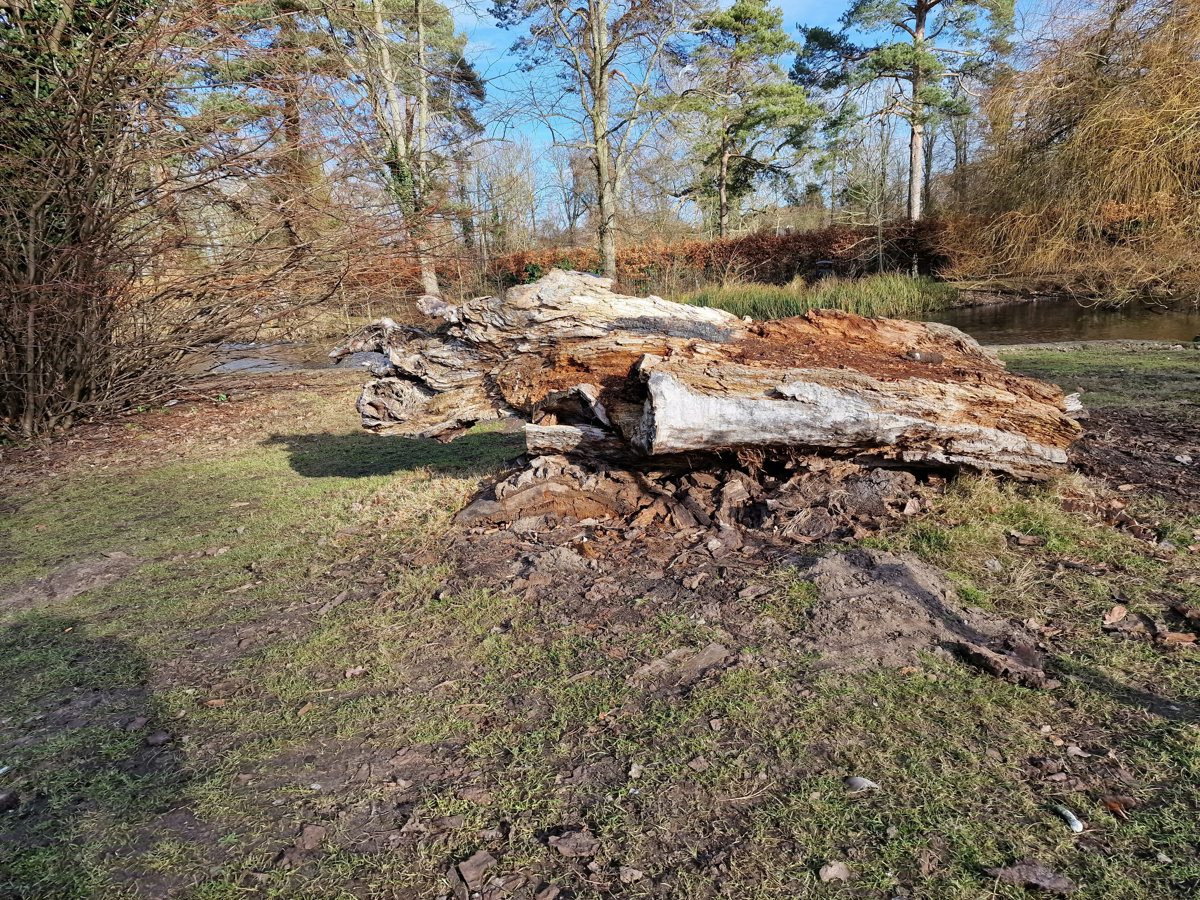 Photo by Janet O'Reilly with Samsung Galaxy S22 Ultra