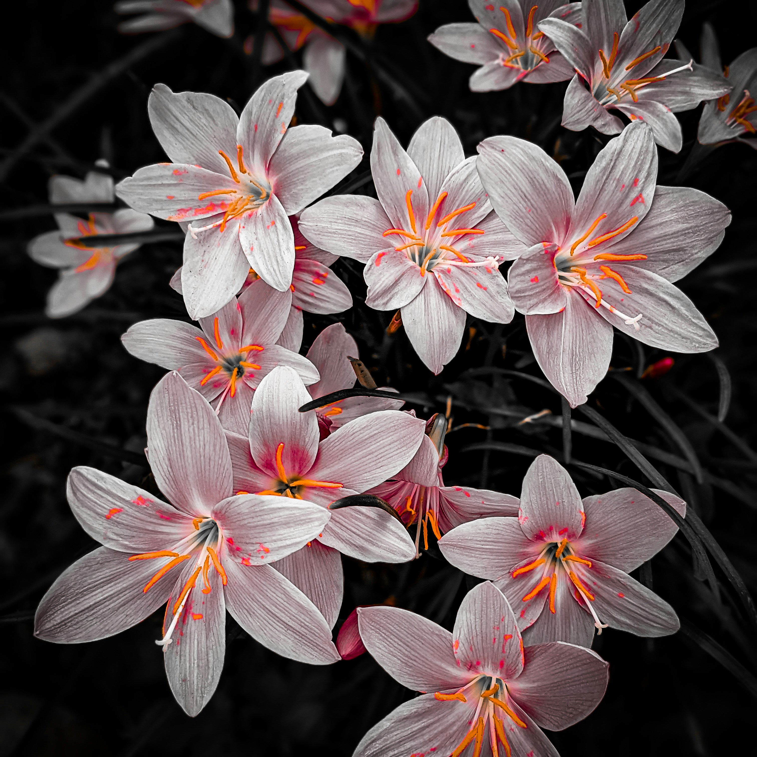 Photo by Parvinder Singh with Google Pixel 6a