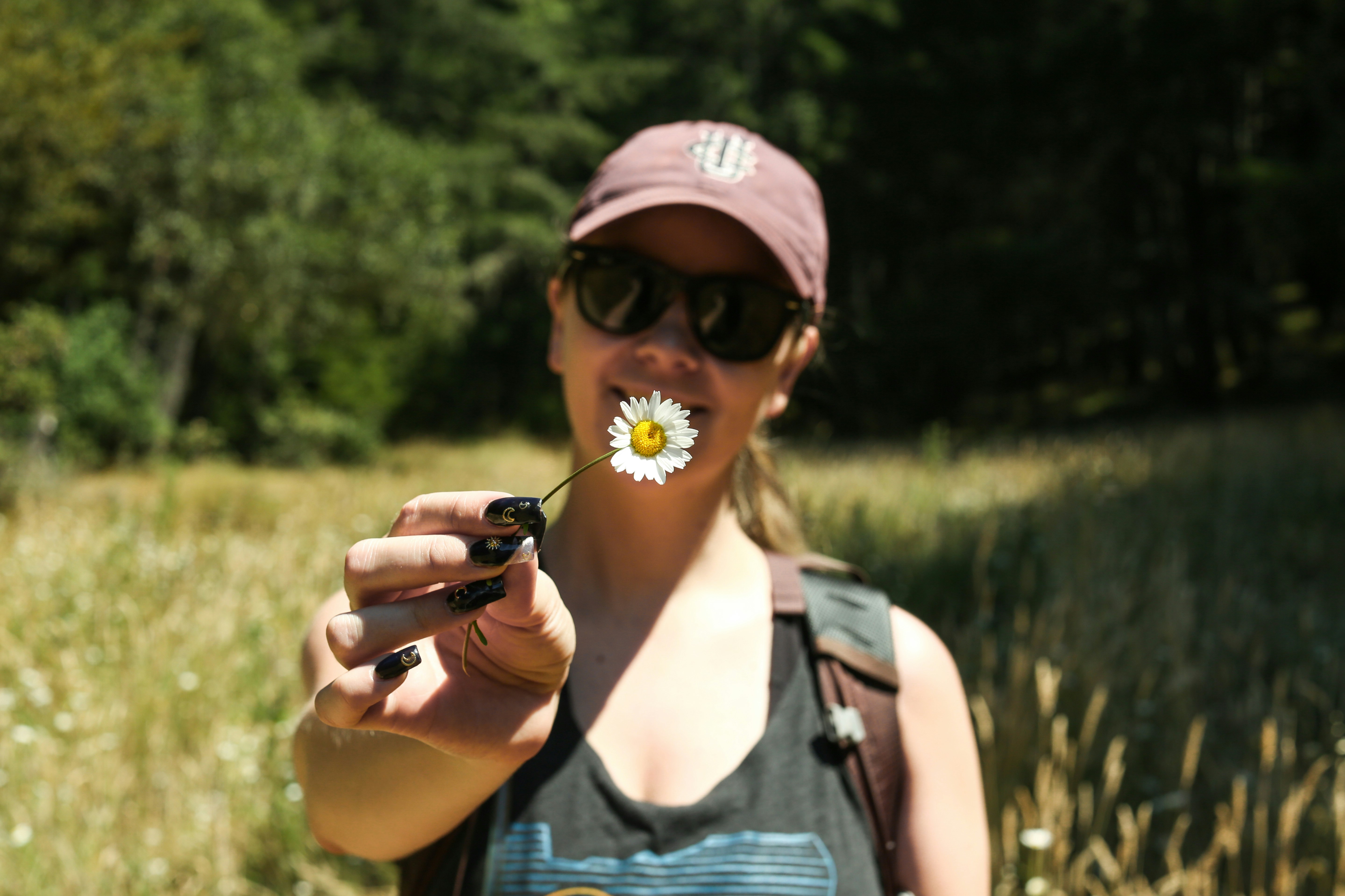 Daisy in Focus: A sunlit meadow portrait with a hand-extended blossom