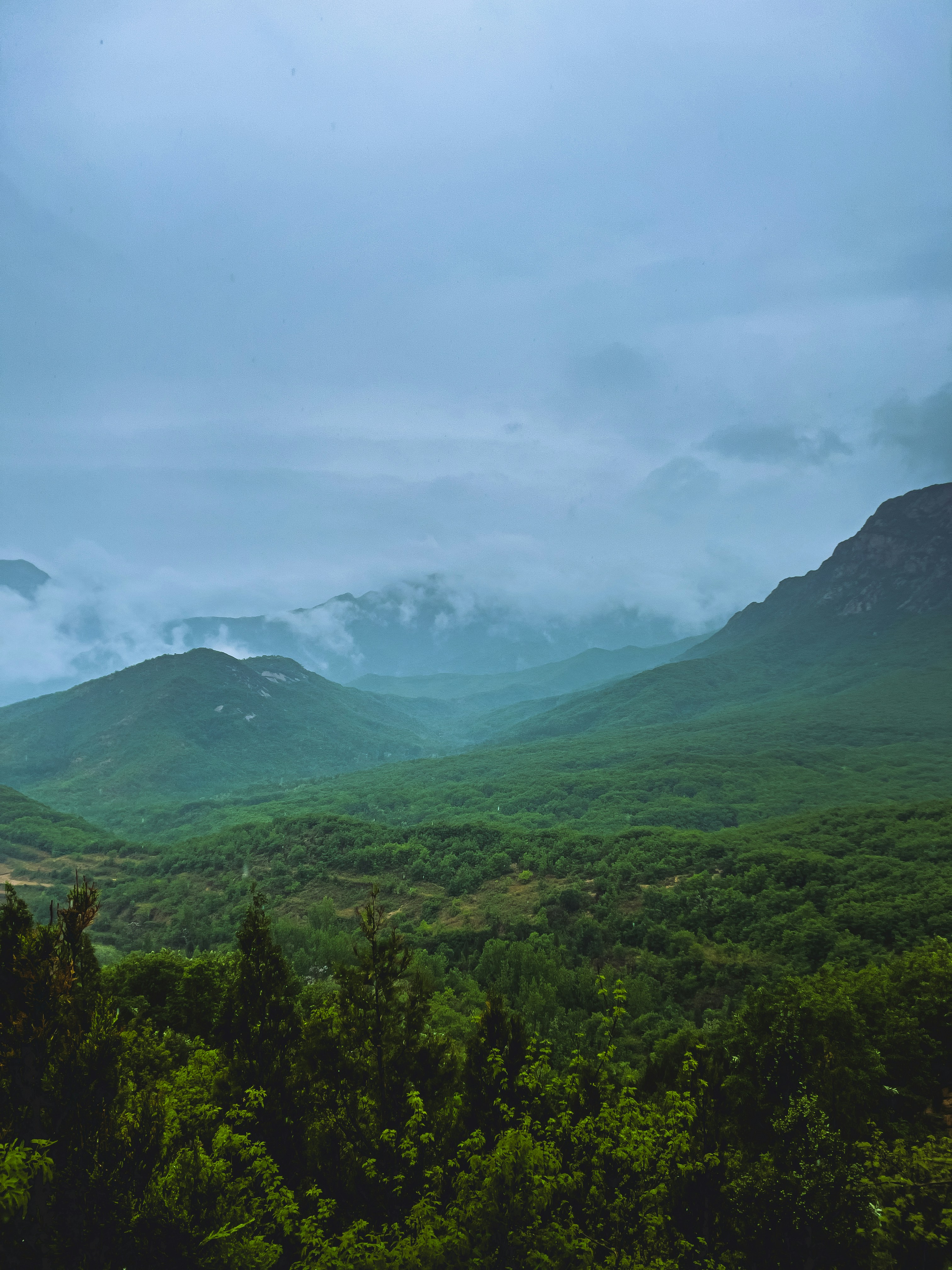 Photo by J F with Apple iPhone 12 Pro Max