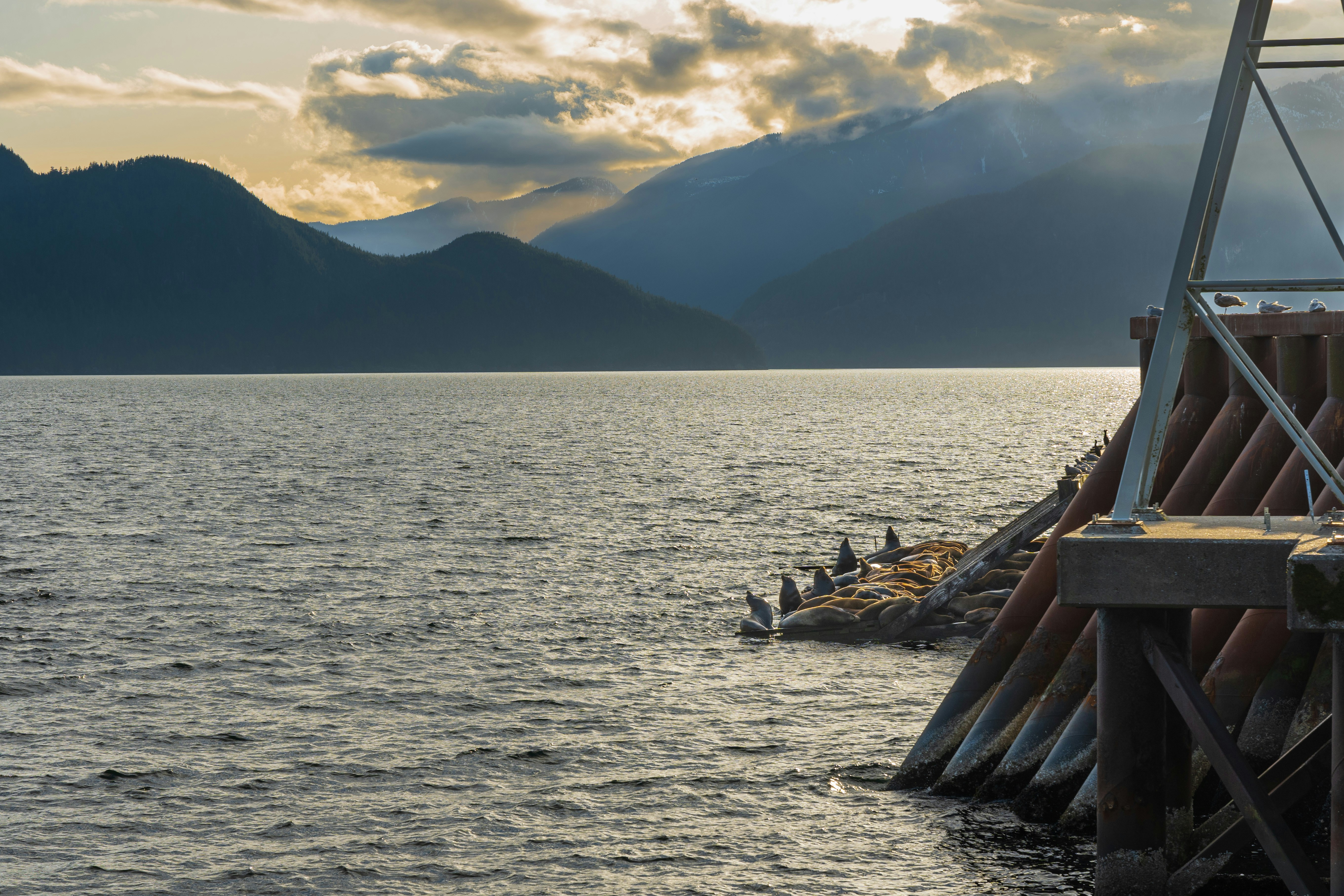 Photo by Vlad Namashko with Sony Alpha 7 IV