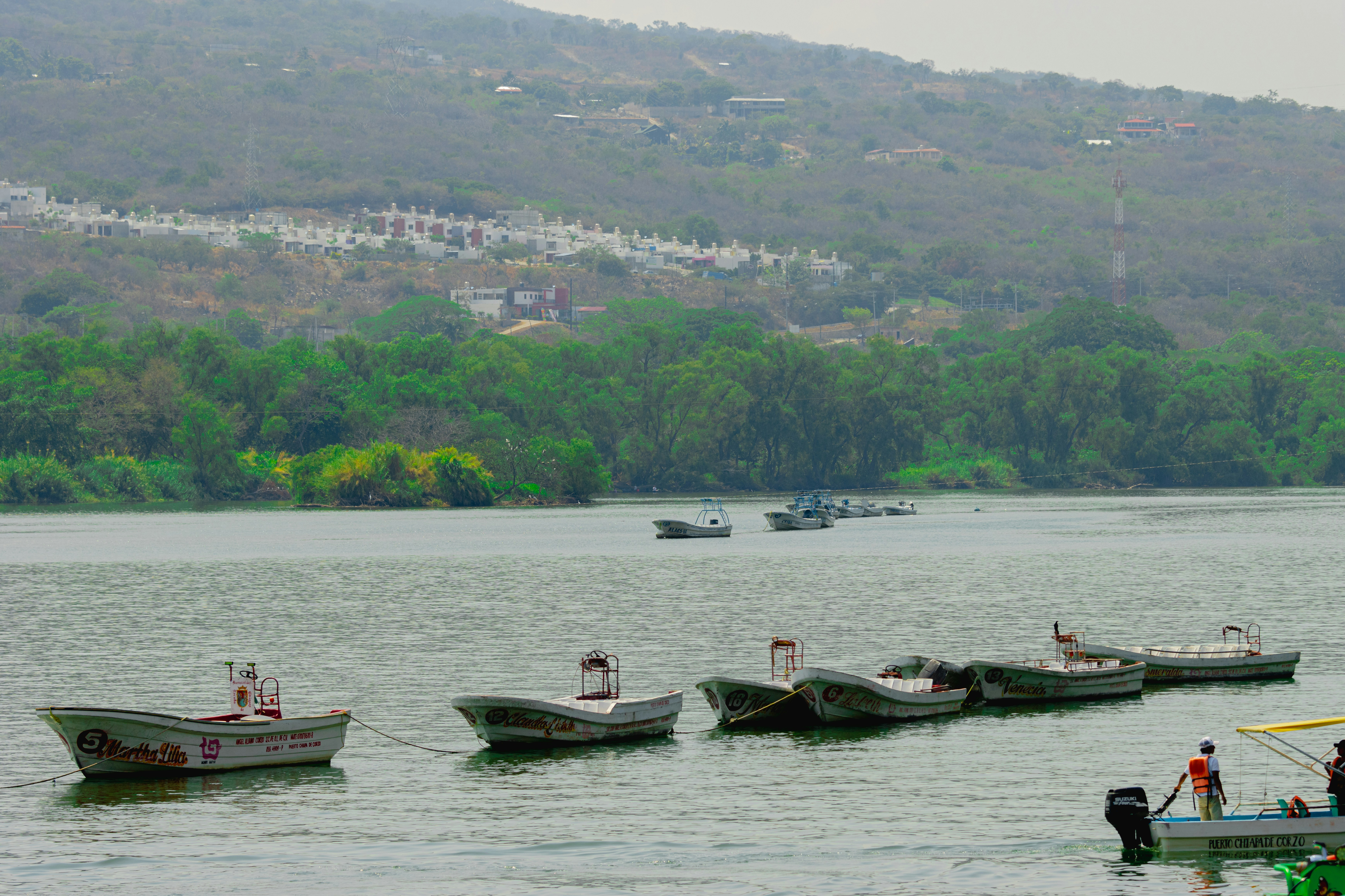 Flotilla at Rest on a Quiet River, Verdant Hills in the Distance