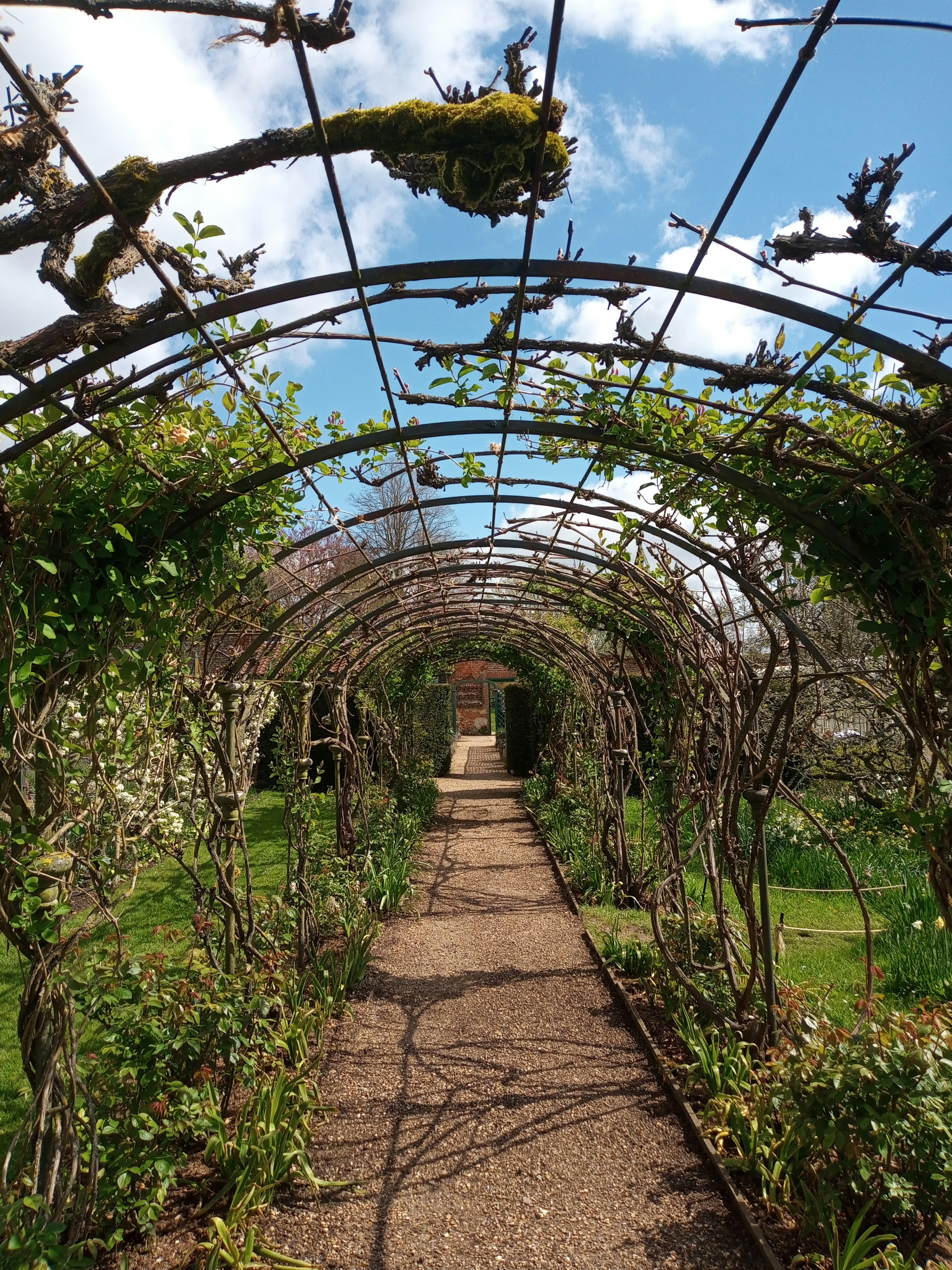 A path in a garden with a bunch of trees photo – Free Garden Image on ...