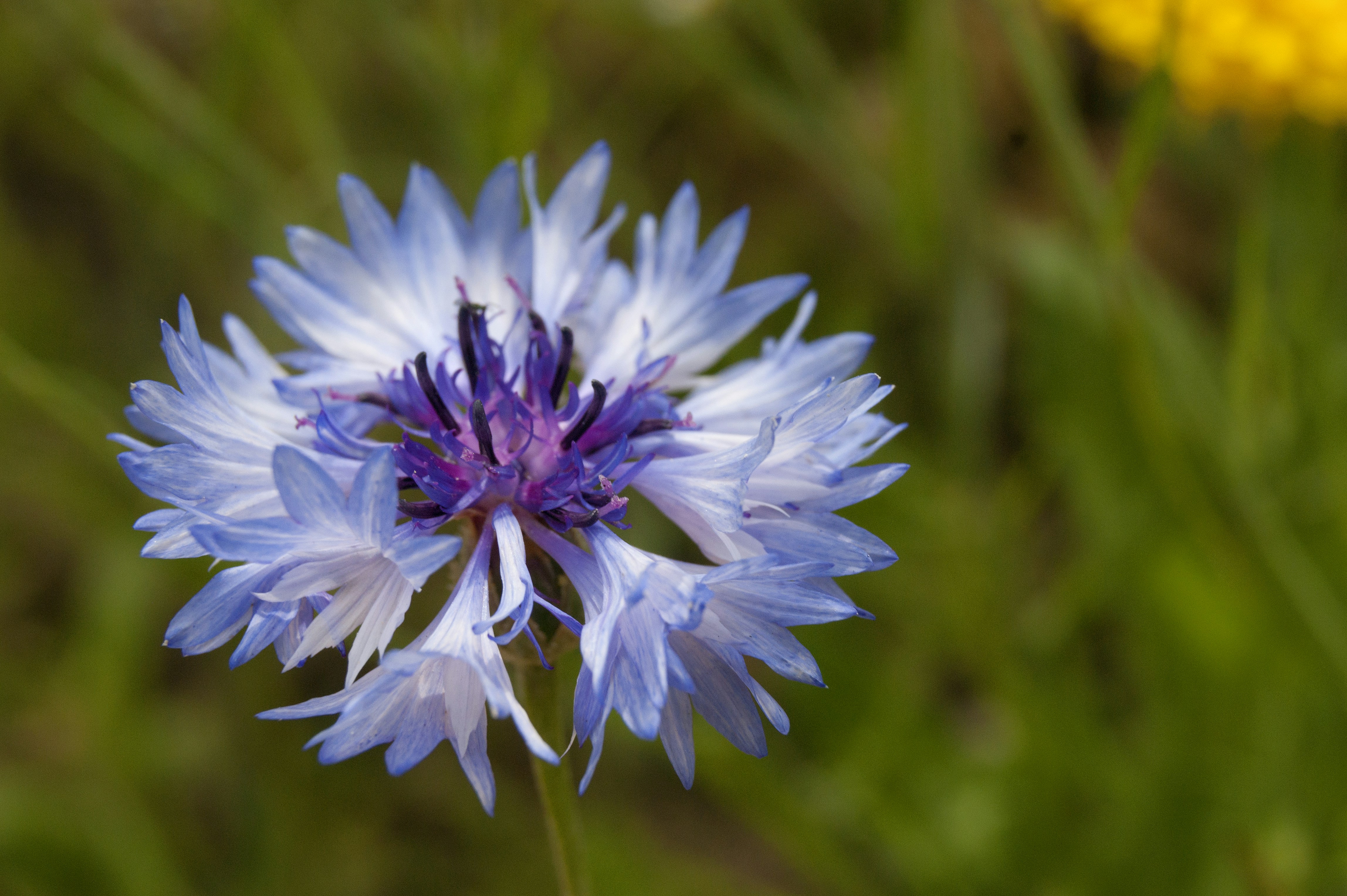 Matthew Ellis (@mattellis777) | Komunitas Foto Unsplash