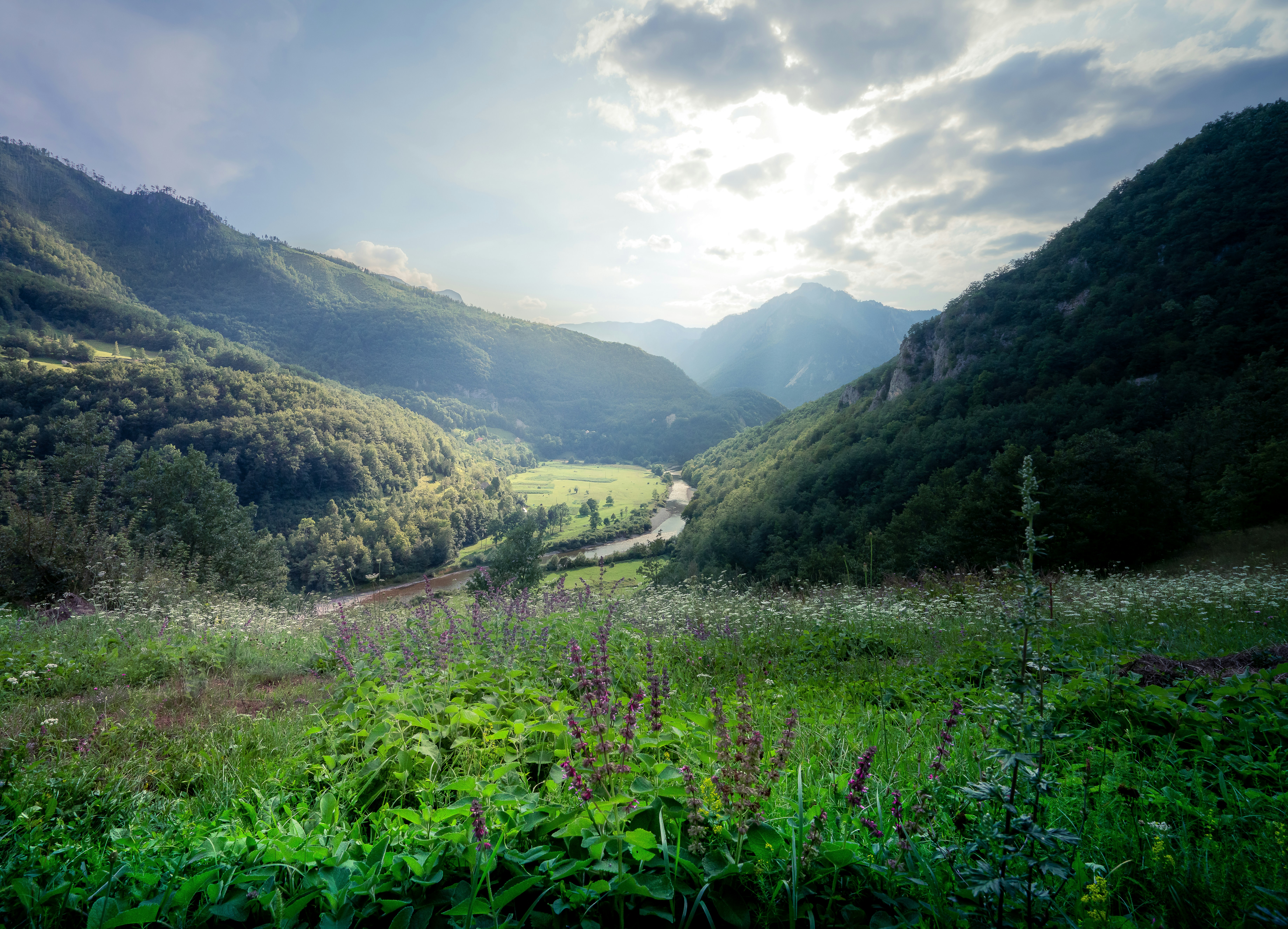A scenic view of a valley surrounded by mountains photo – Free Flower ...