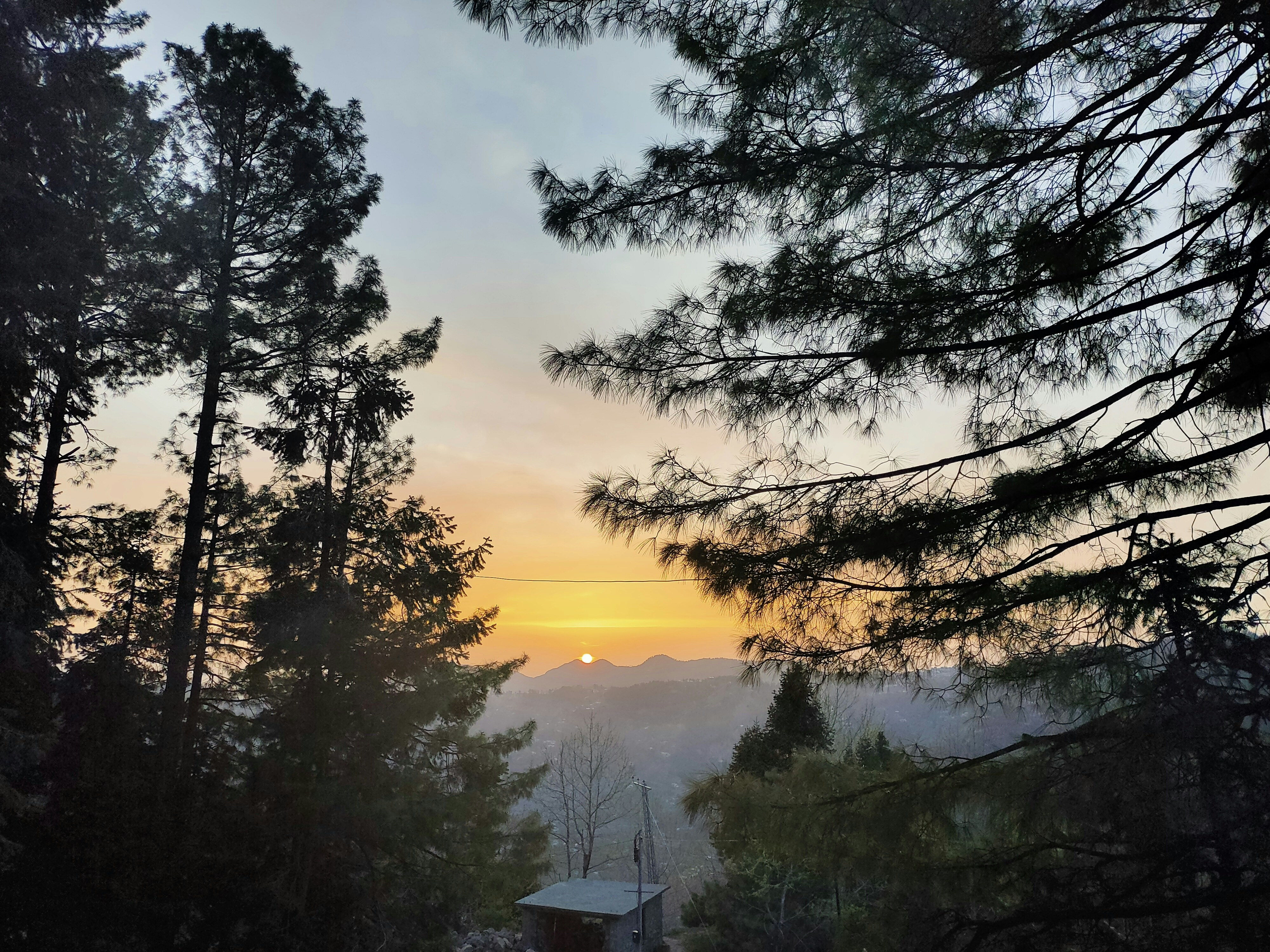 Landscape photograph of a sunset framed by tall pines with a distant ridge and hazy mountains. The warm sky glows as silhouettes anchor the scene.