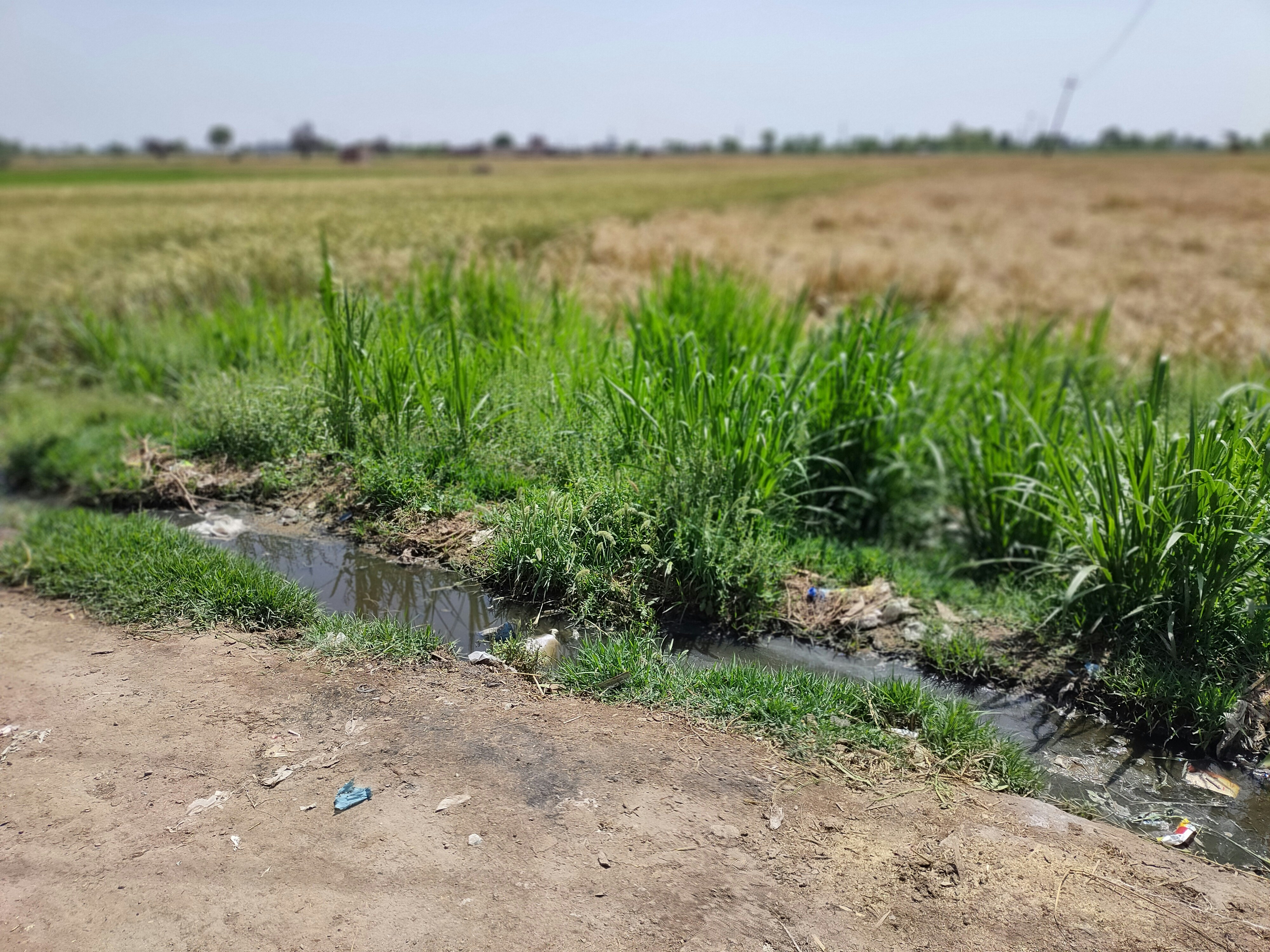 A small stream of water running through a grass covered field photo ...