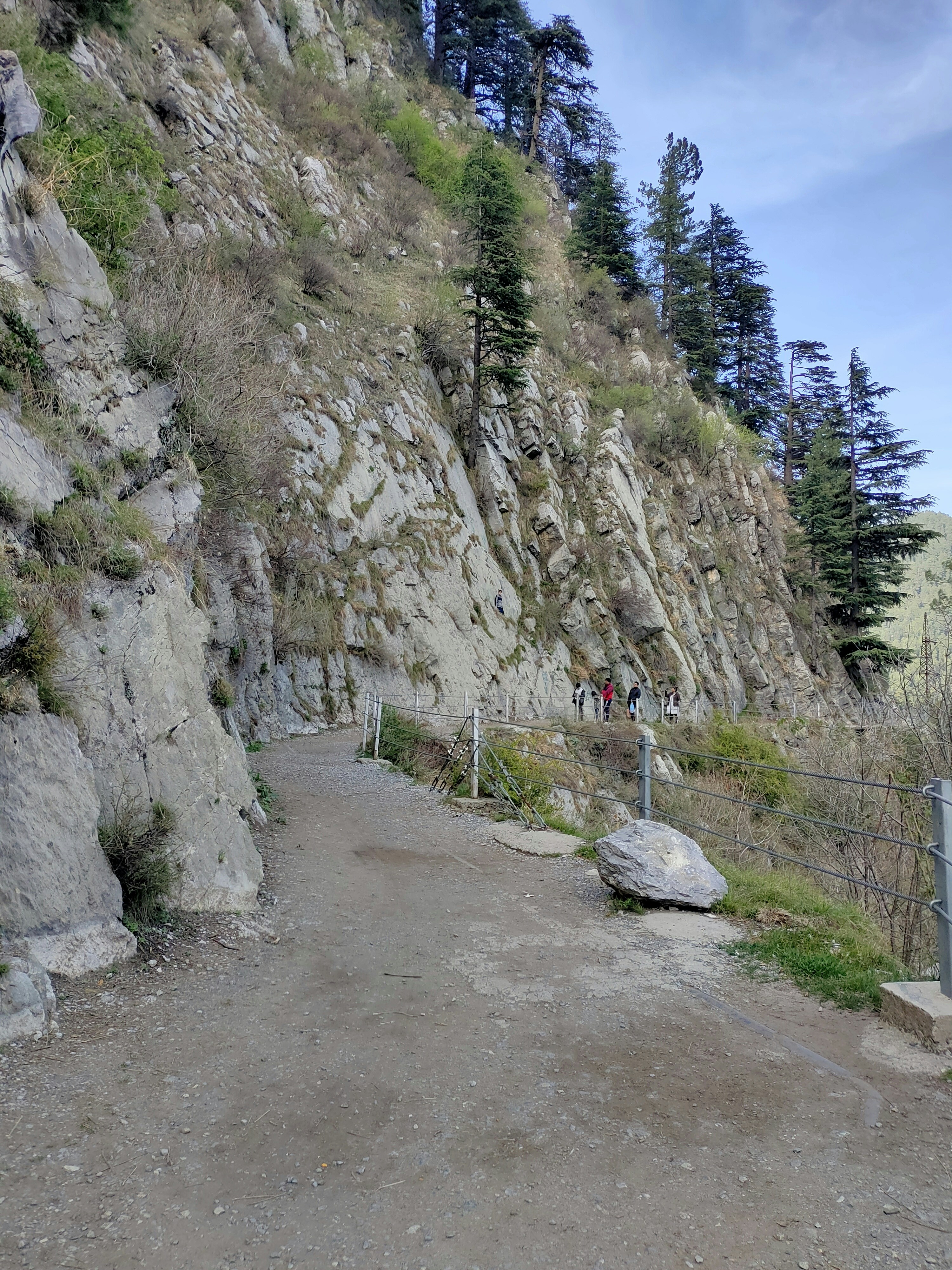 Hikers trek along a rocky cliffside path with a railing, as pine trees loom overhead and a rocky slope rises to the left.