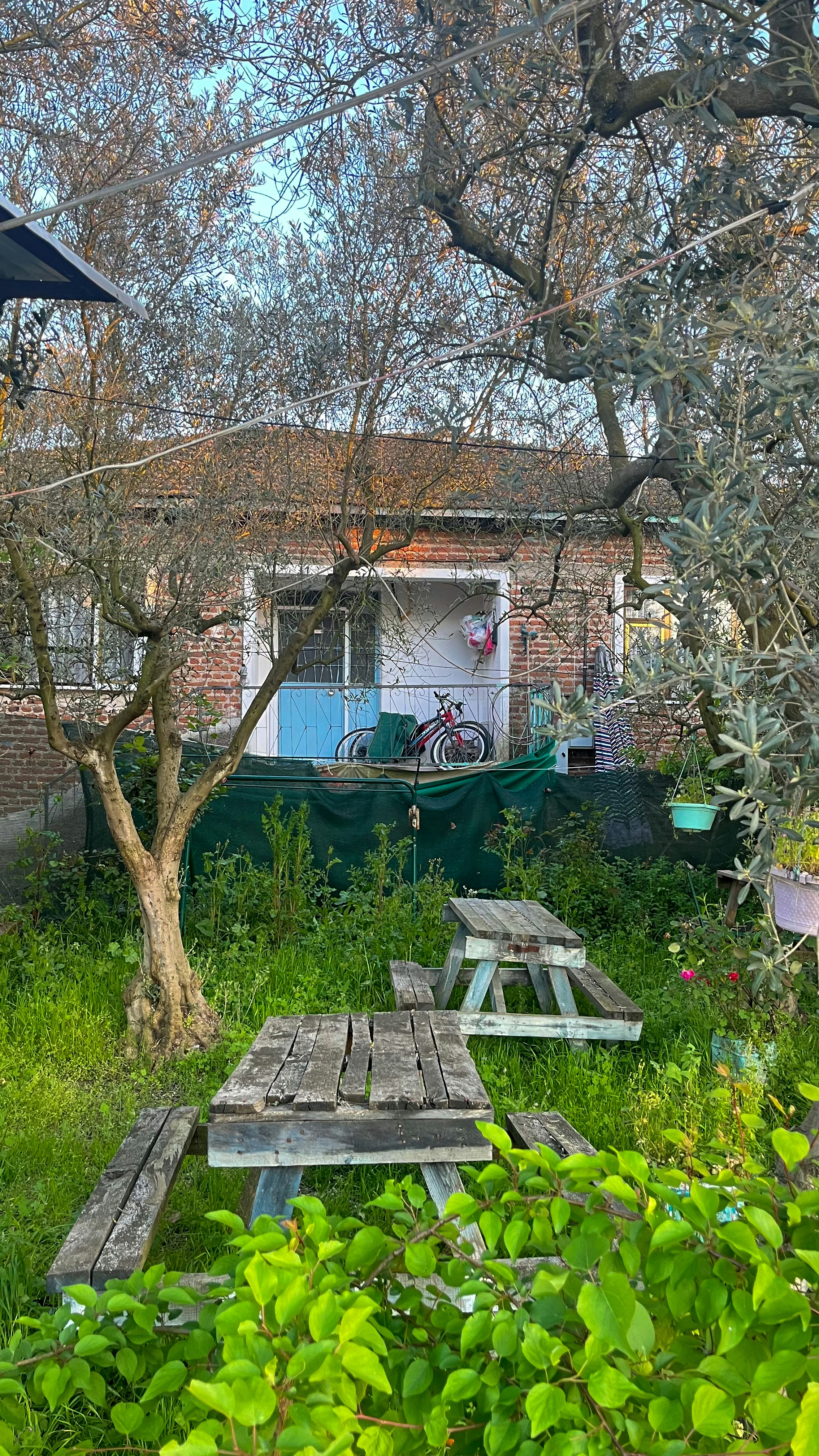 Une table de pique-en bois assise à côté d’un arbre photo – Image ...