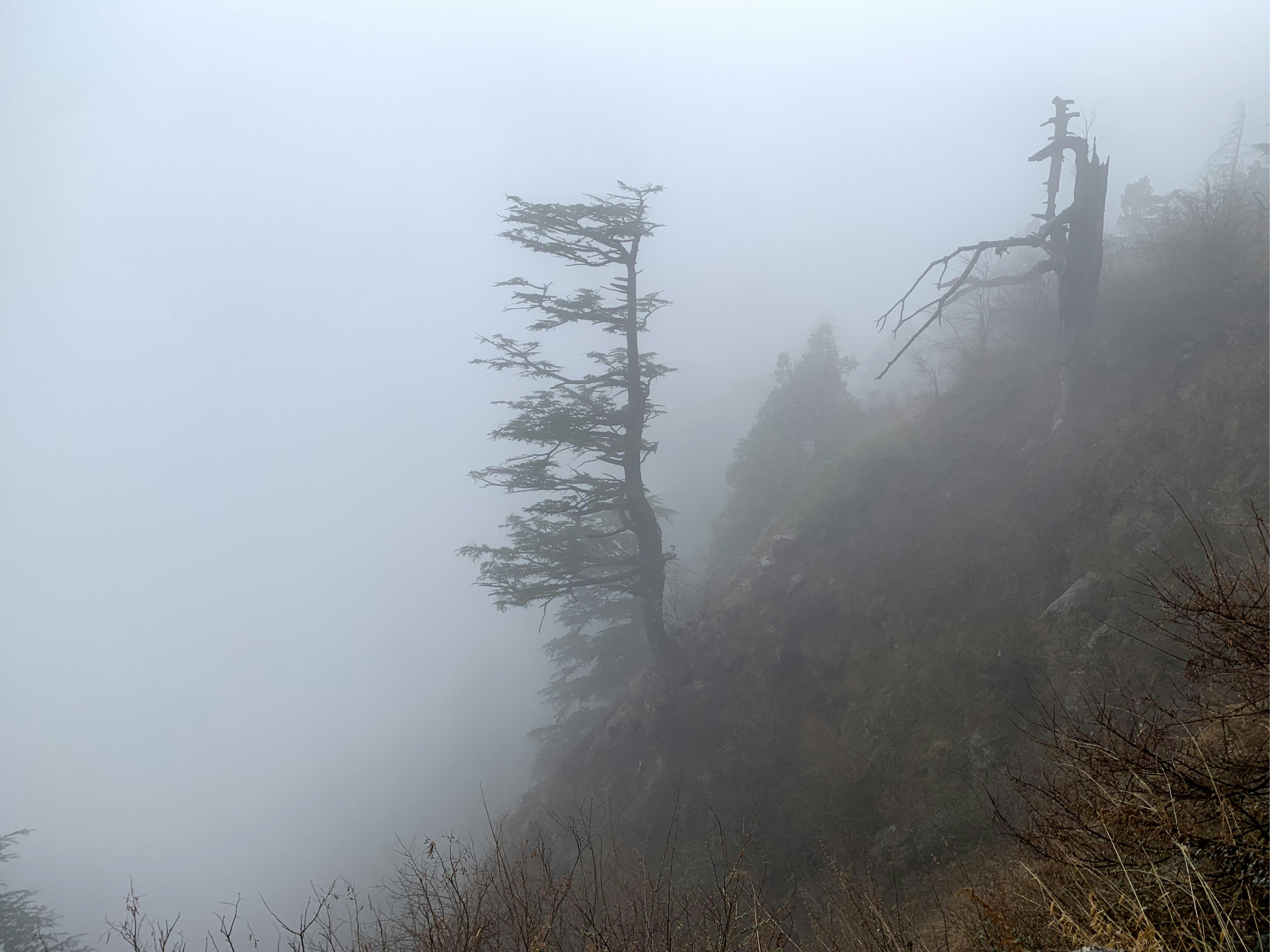 Imágenes de Darya Gali | Descarga imágenes gratuitas en Unsplash