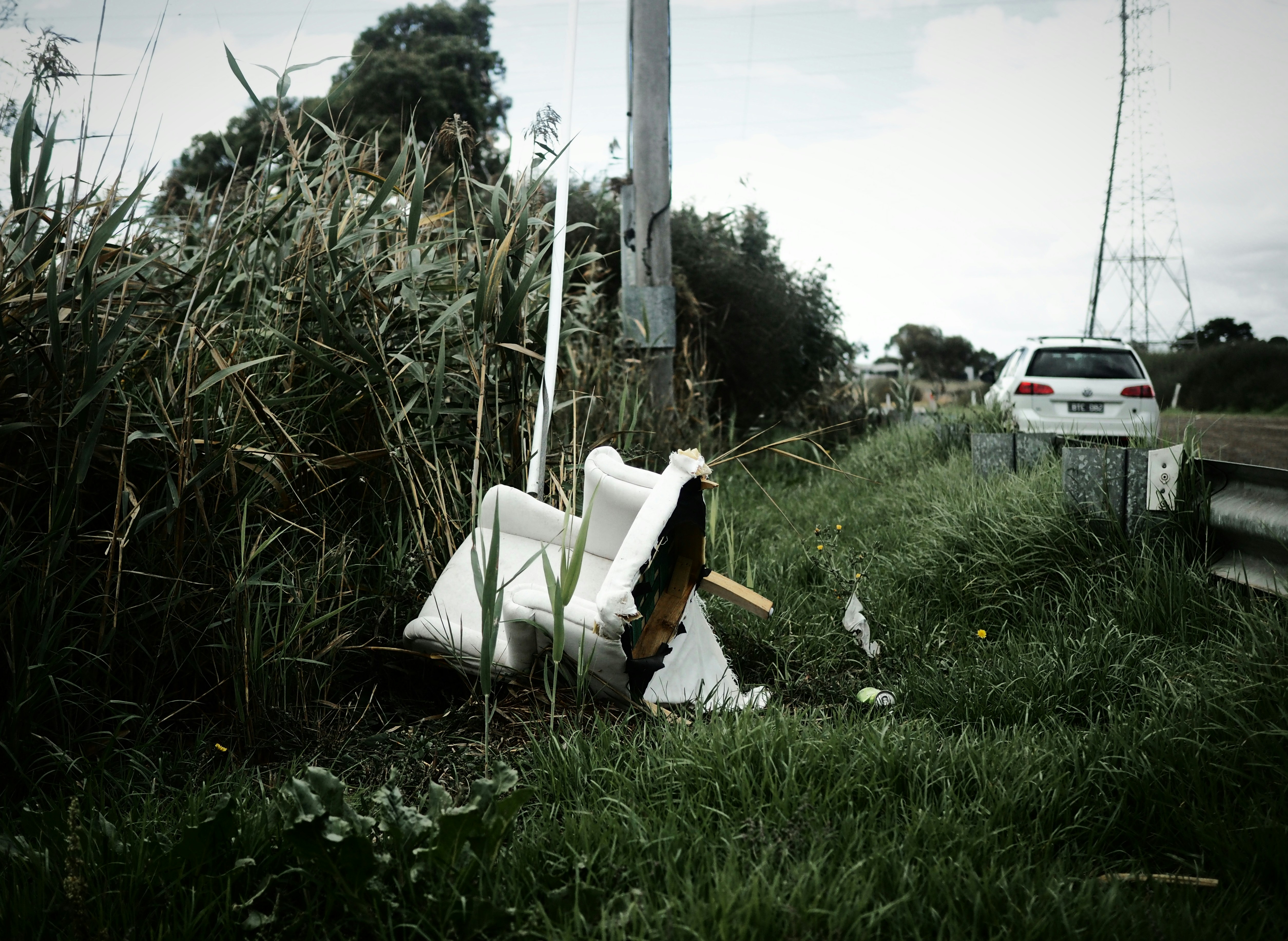 Roadside Still Life: Nature Reclaims