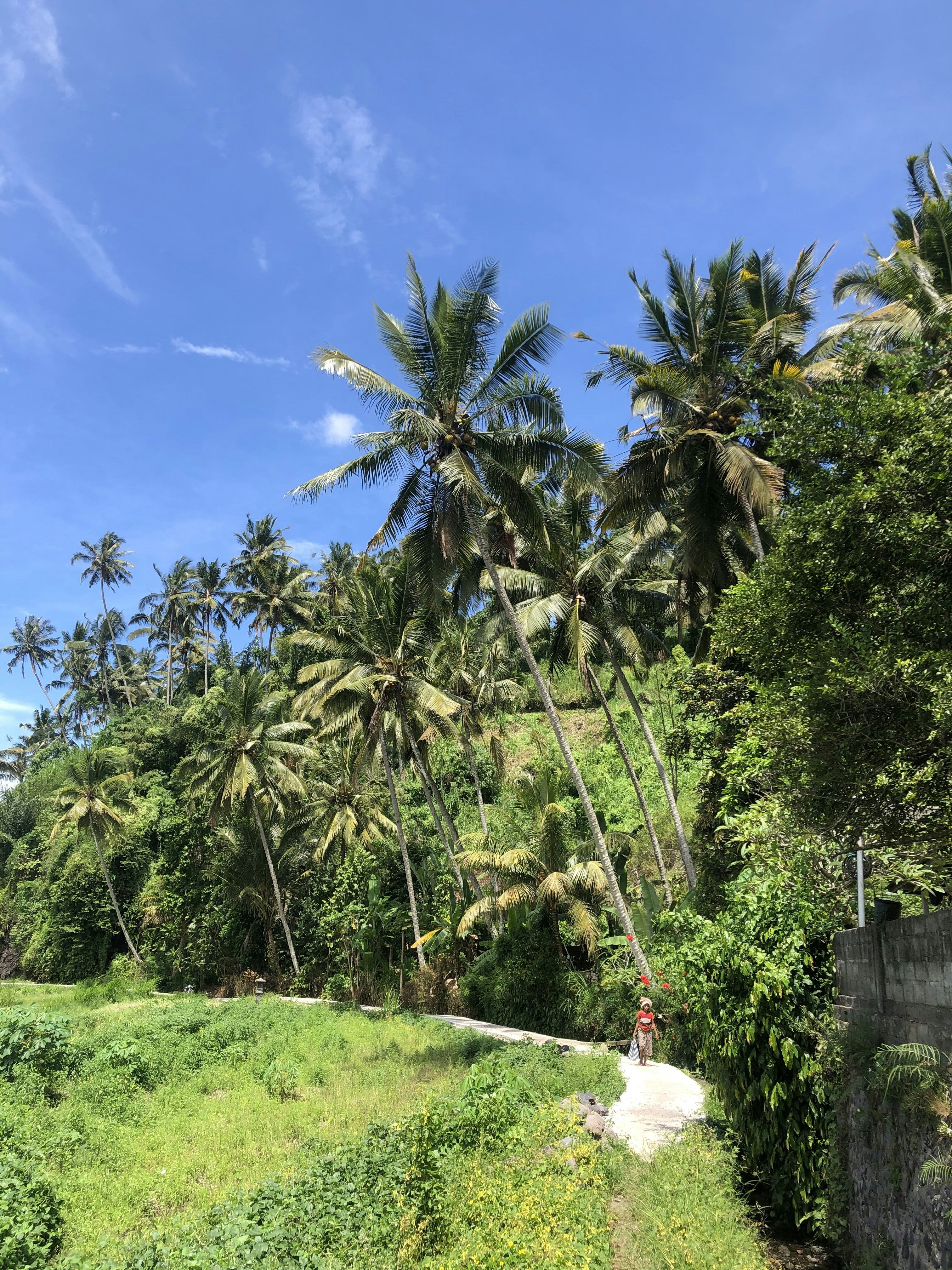 Dimas Muchsin Radixia (@dimasradixia) | Unsplash Photo Community