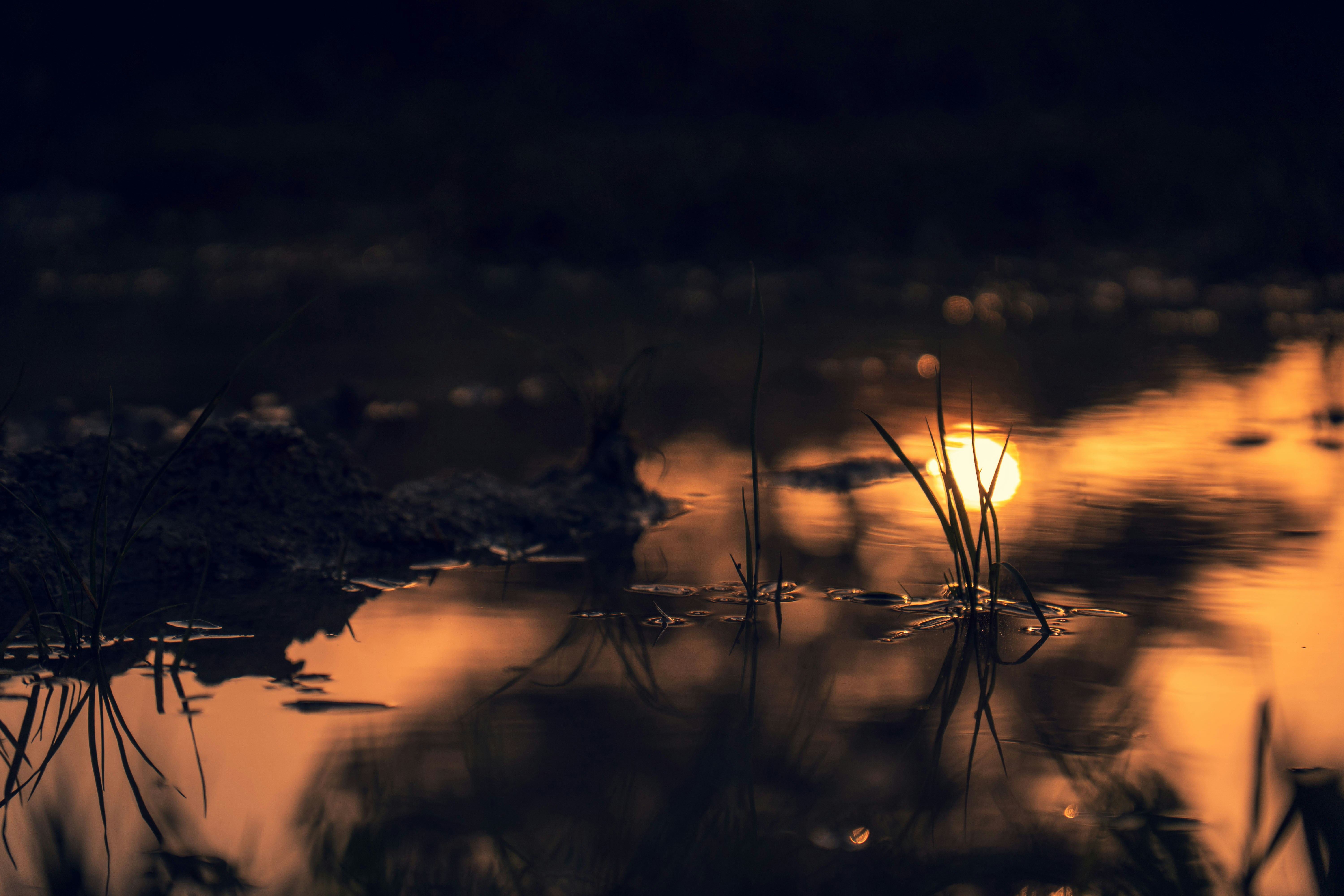 sun reflecting from a puddle | the sun is setting over a body of water