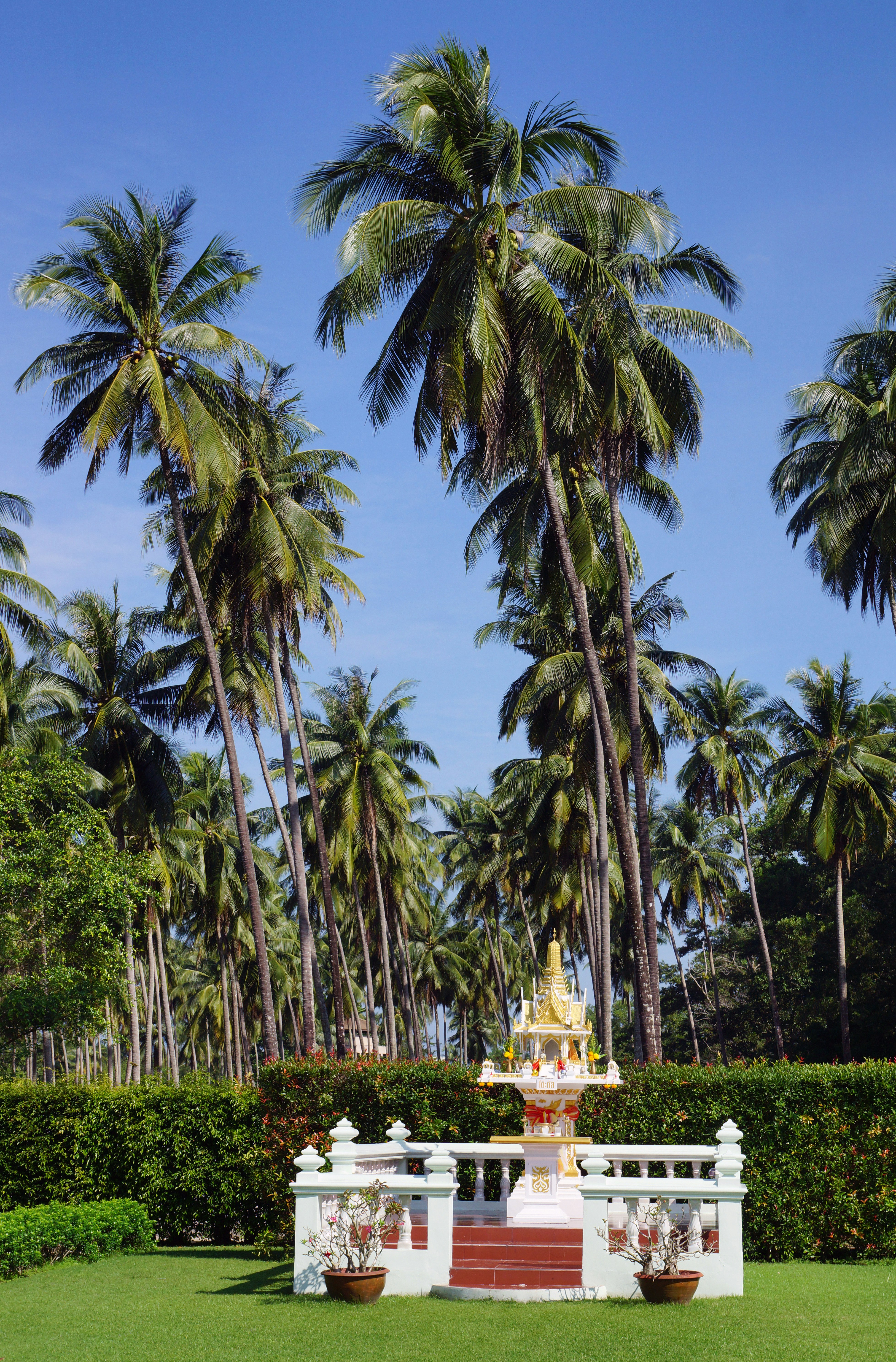 Ornate Shrine Framed by Towering Palms in a Tropical Garden