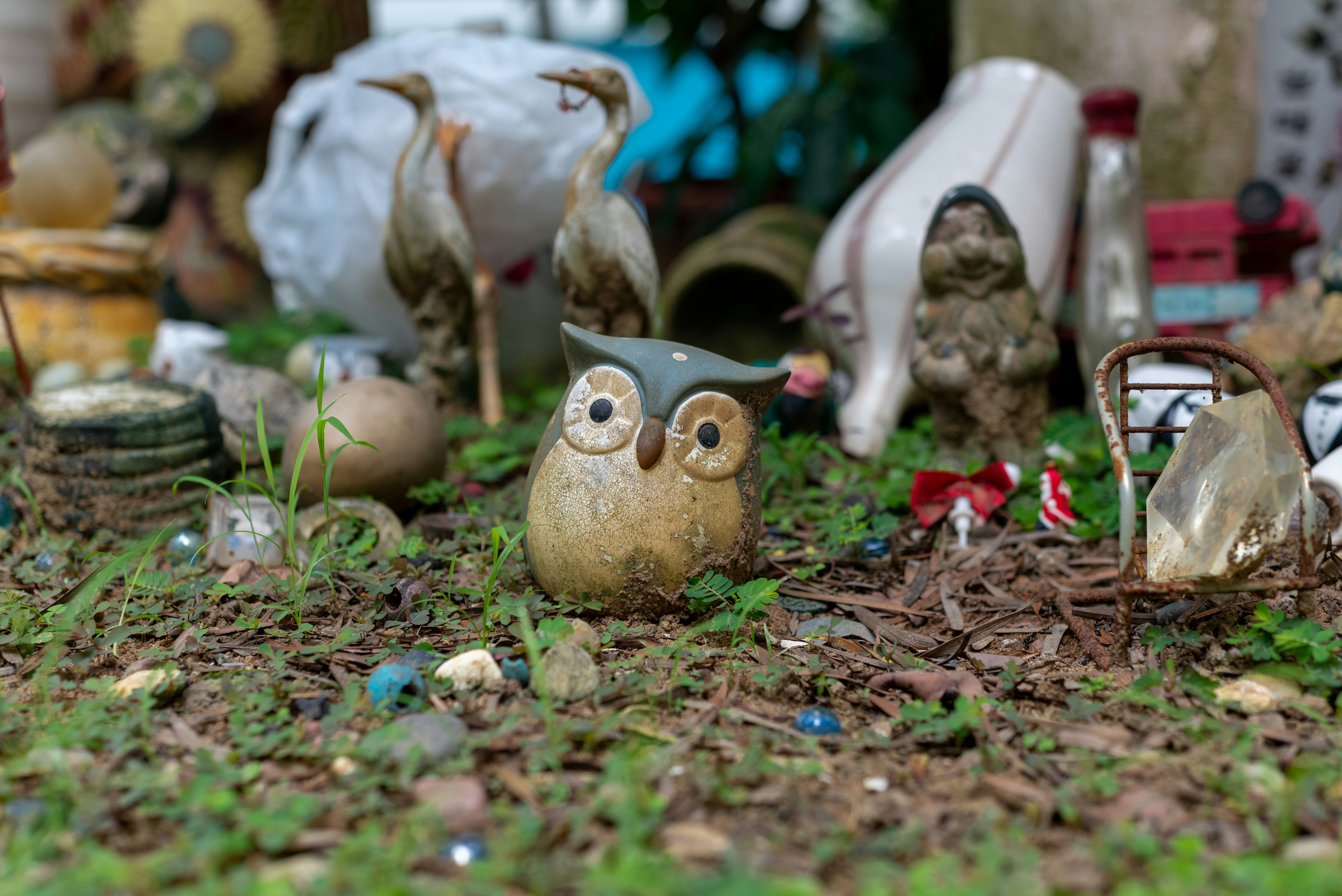 The Watchful Owl Amid Forgotten Garden Trinkets