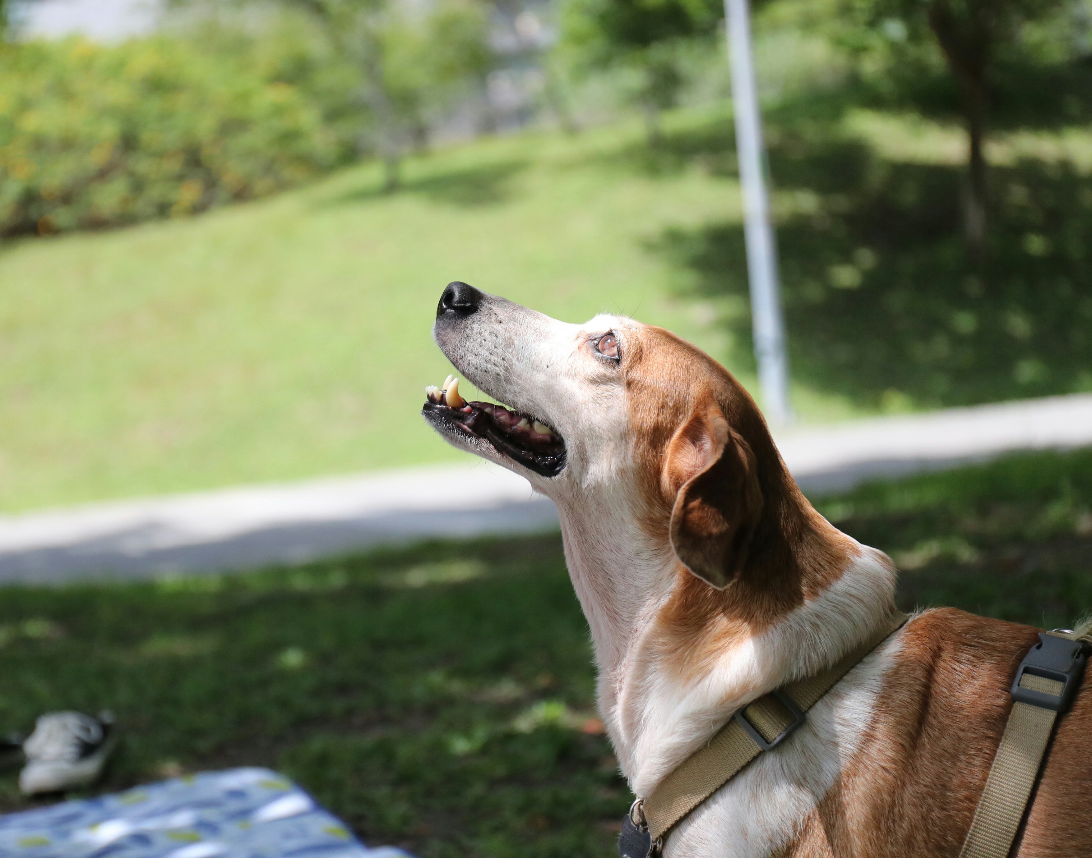 chen yanhui (@chenyanhui) | Komunitas Foto Unsplash