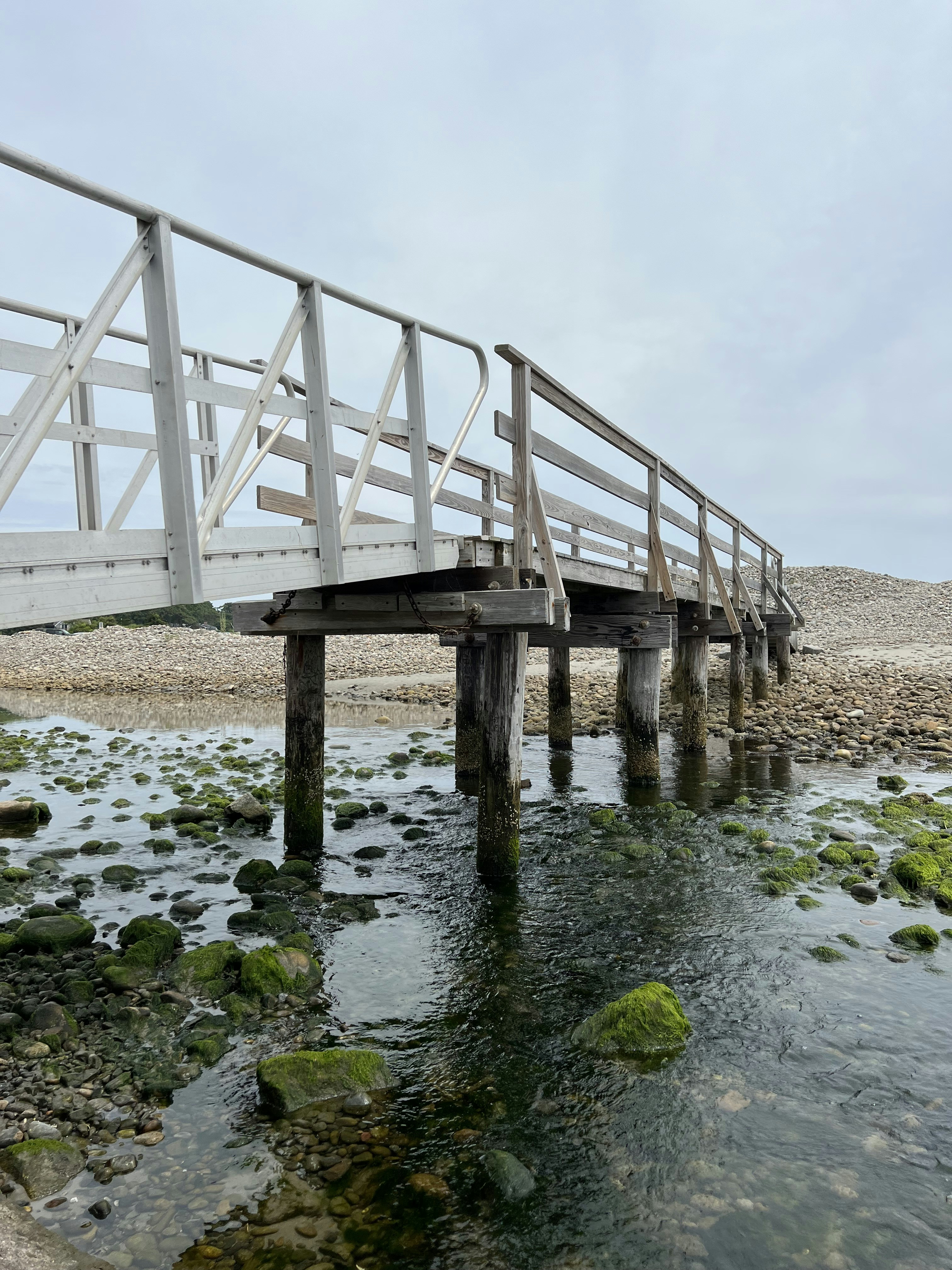 The Pier's Long Fingers Reach Over Mossy Tidal Flats at Low Tide